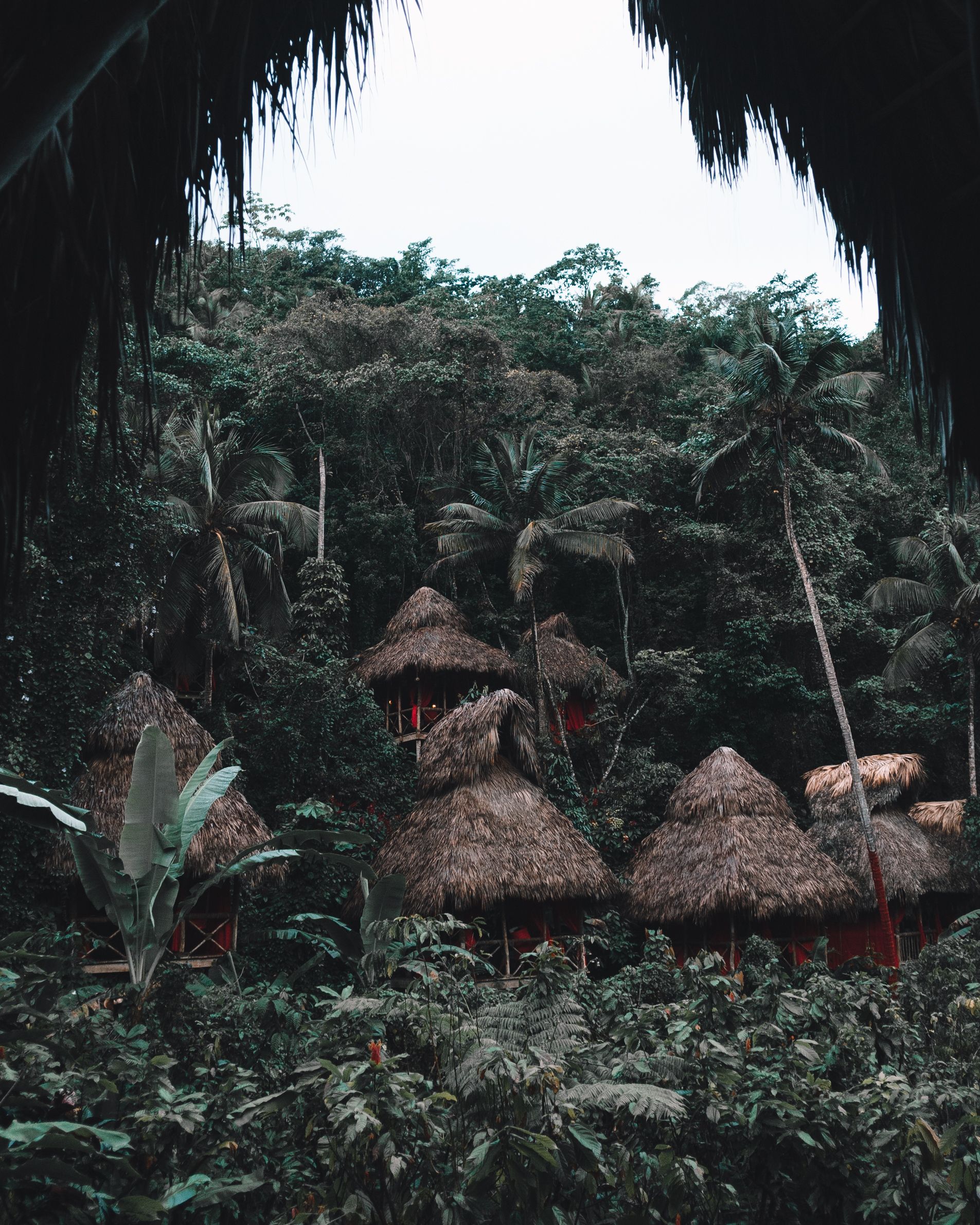 Brown Nipa Huts Near Trees · Free Stock Photo