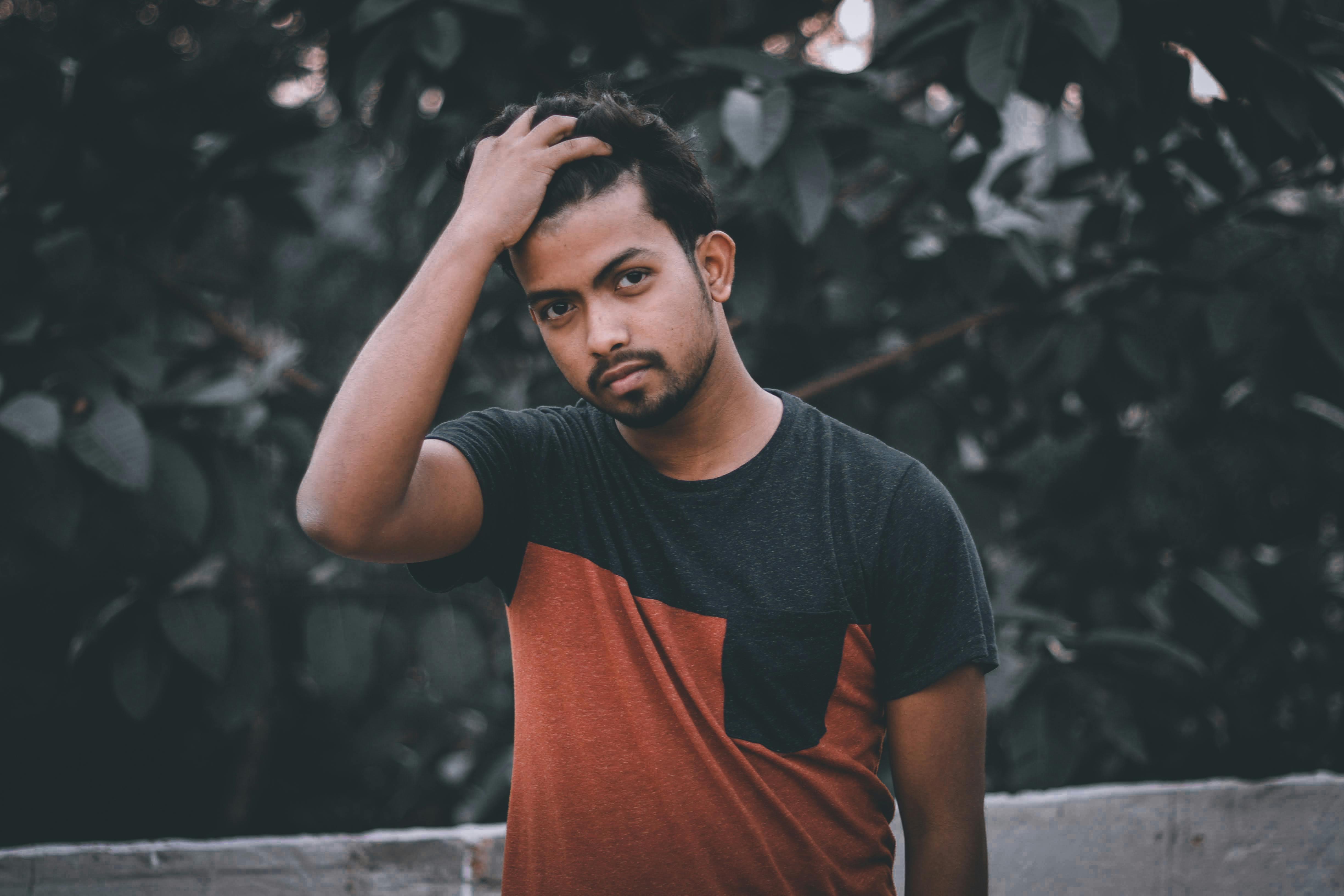 Indian Bayan Tree Photos, Download The BEST Free Indian Bayan Tree ...