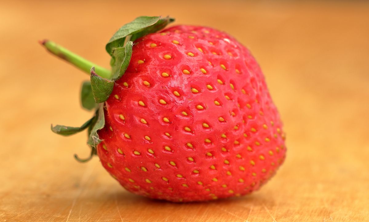 Animated Strawberry Photos, Download The BEST Free Animated Strawberry ...