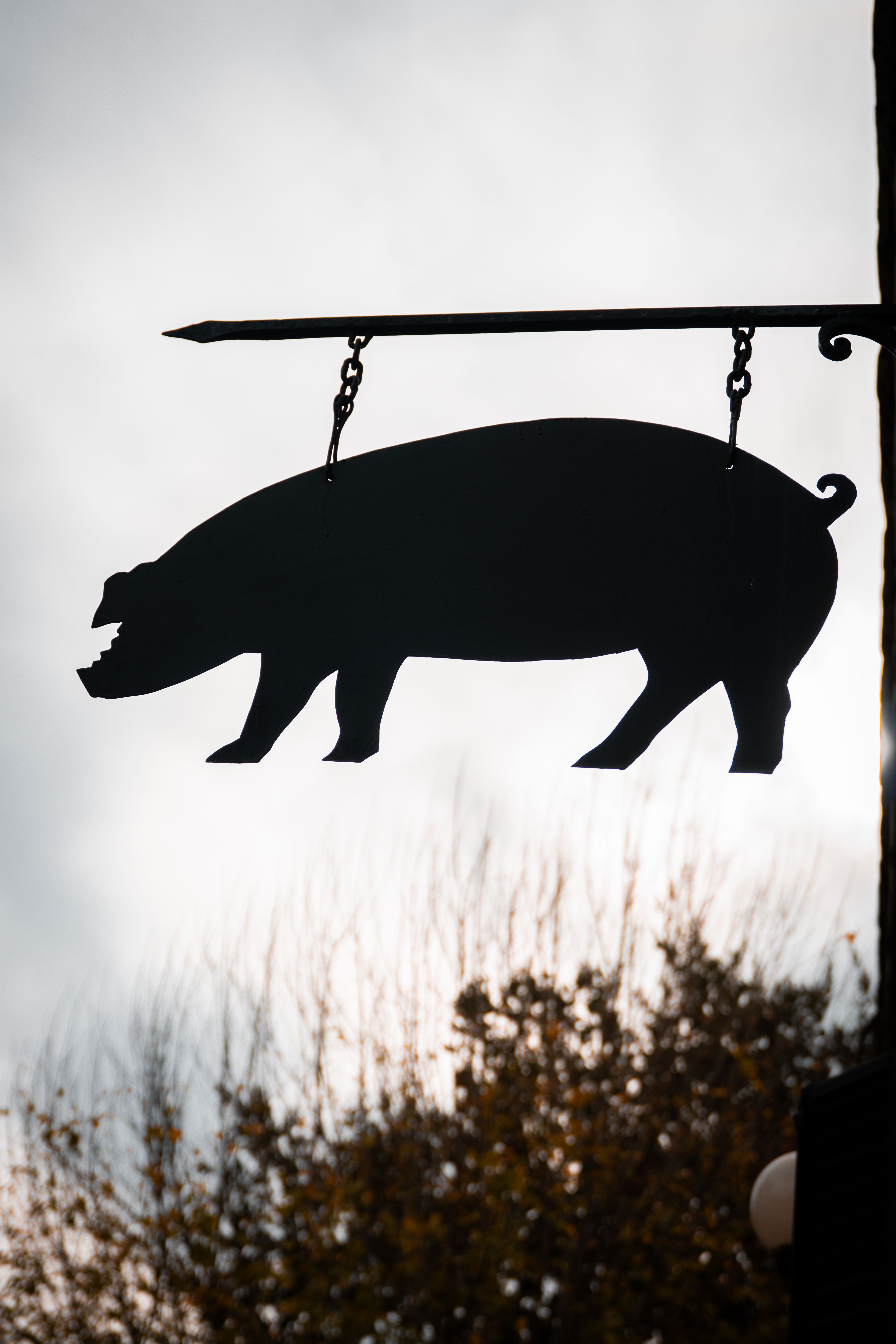 Silhouette of Pig Sign Against Cloudy Sky · Free Stock Photo