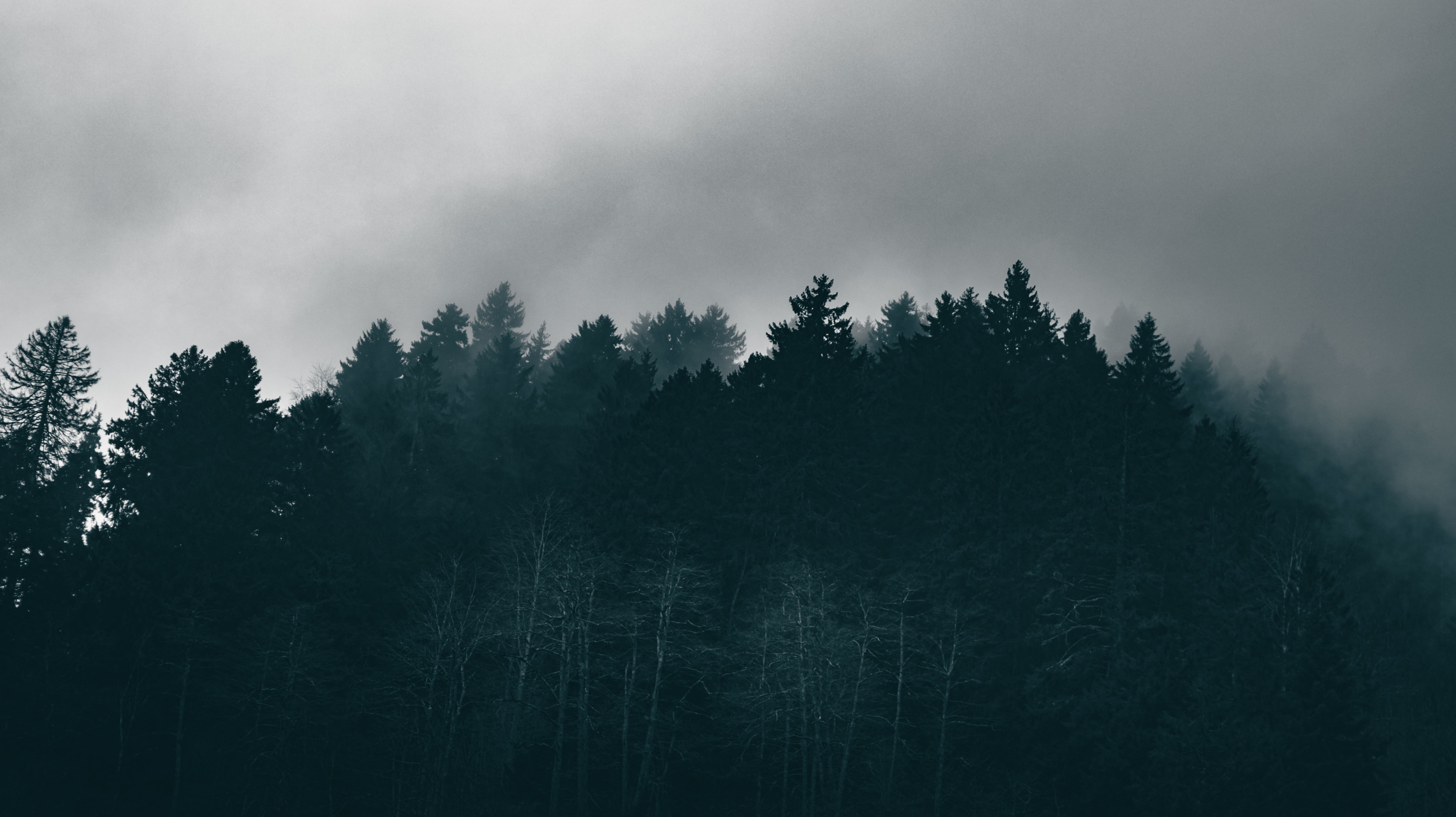 Desktop Gloomy Backgrounds Photos, Download The BEST Free Desktop ...