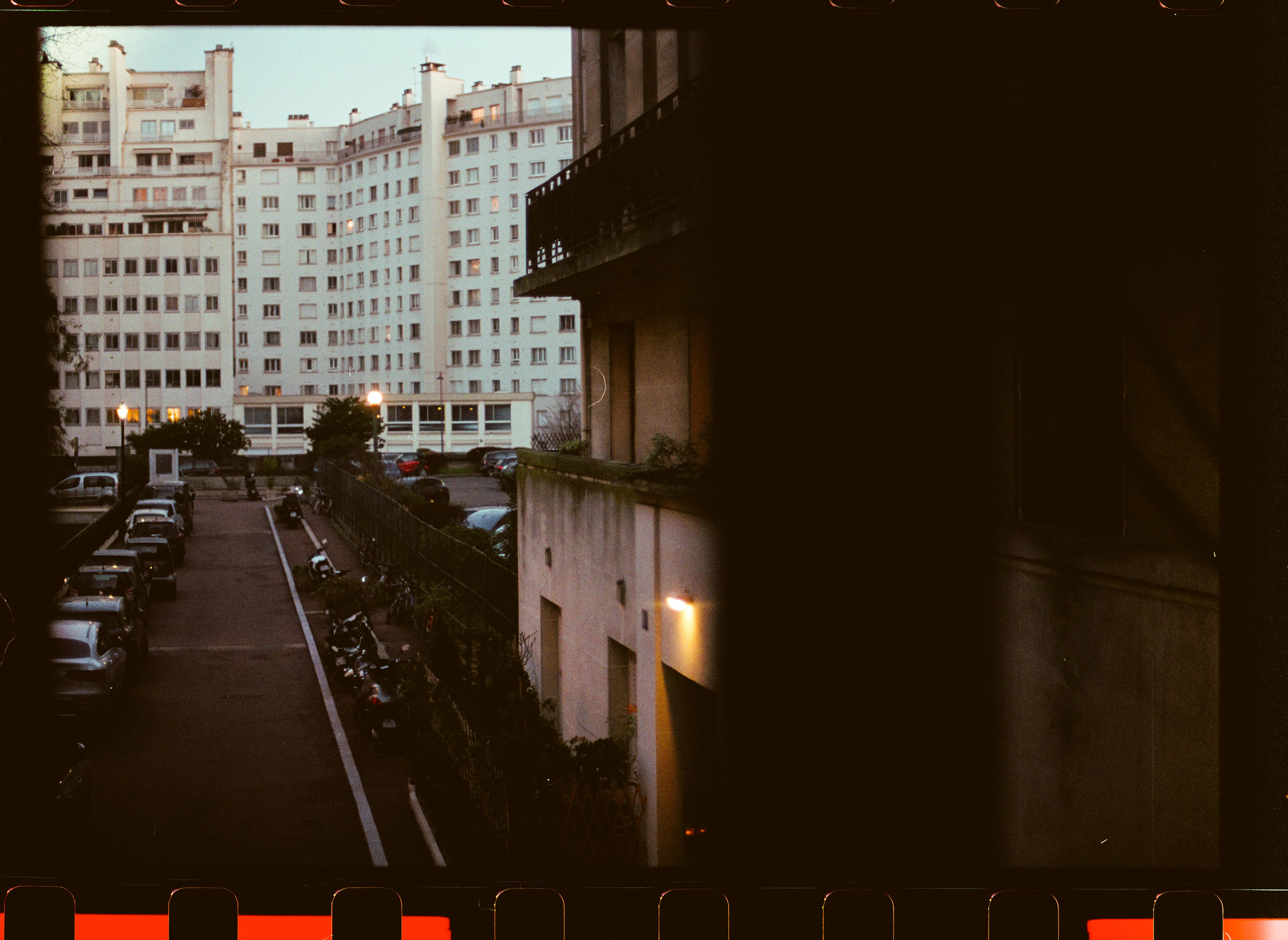 Happy and Unpredictable · Free Stock Photo