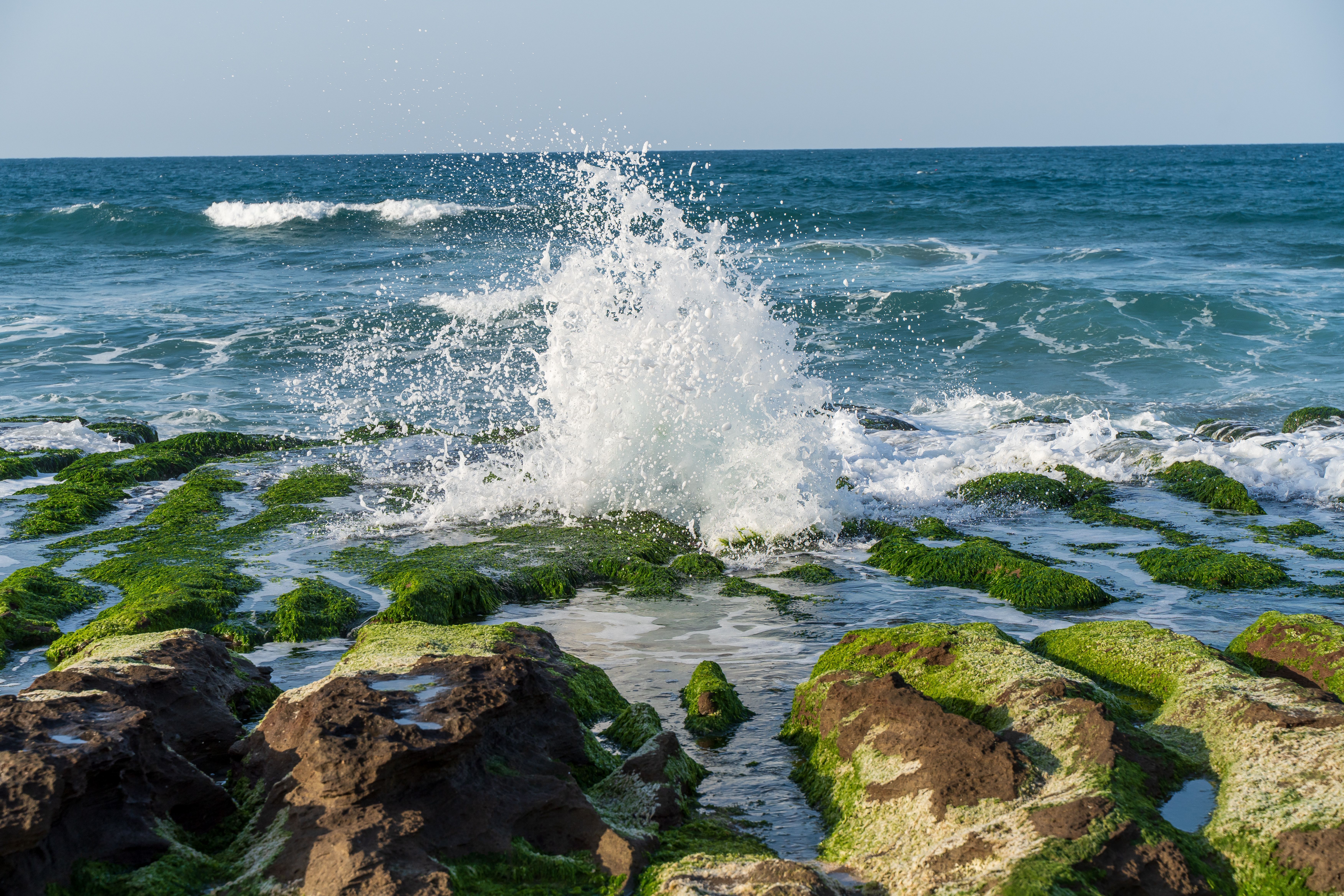 Upsplash Stock Photos Photos, Download The BEST Free Upsplash Stock ...