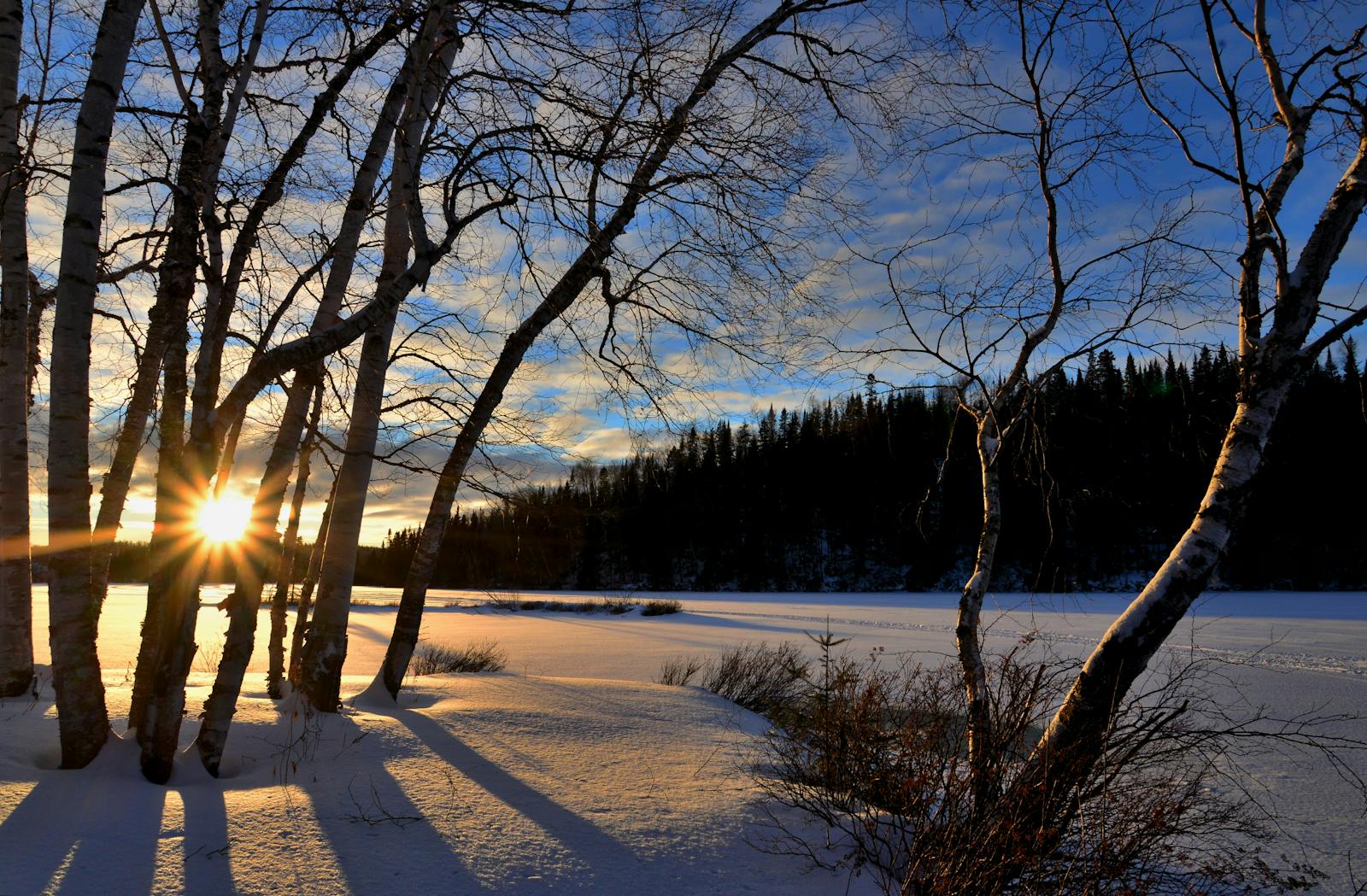Winter Landscape Photos, Download The BEST Free Winter Landscape Stock ...