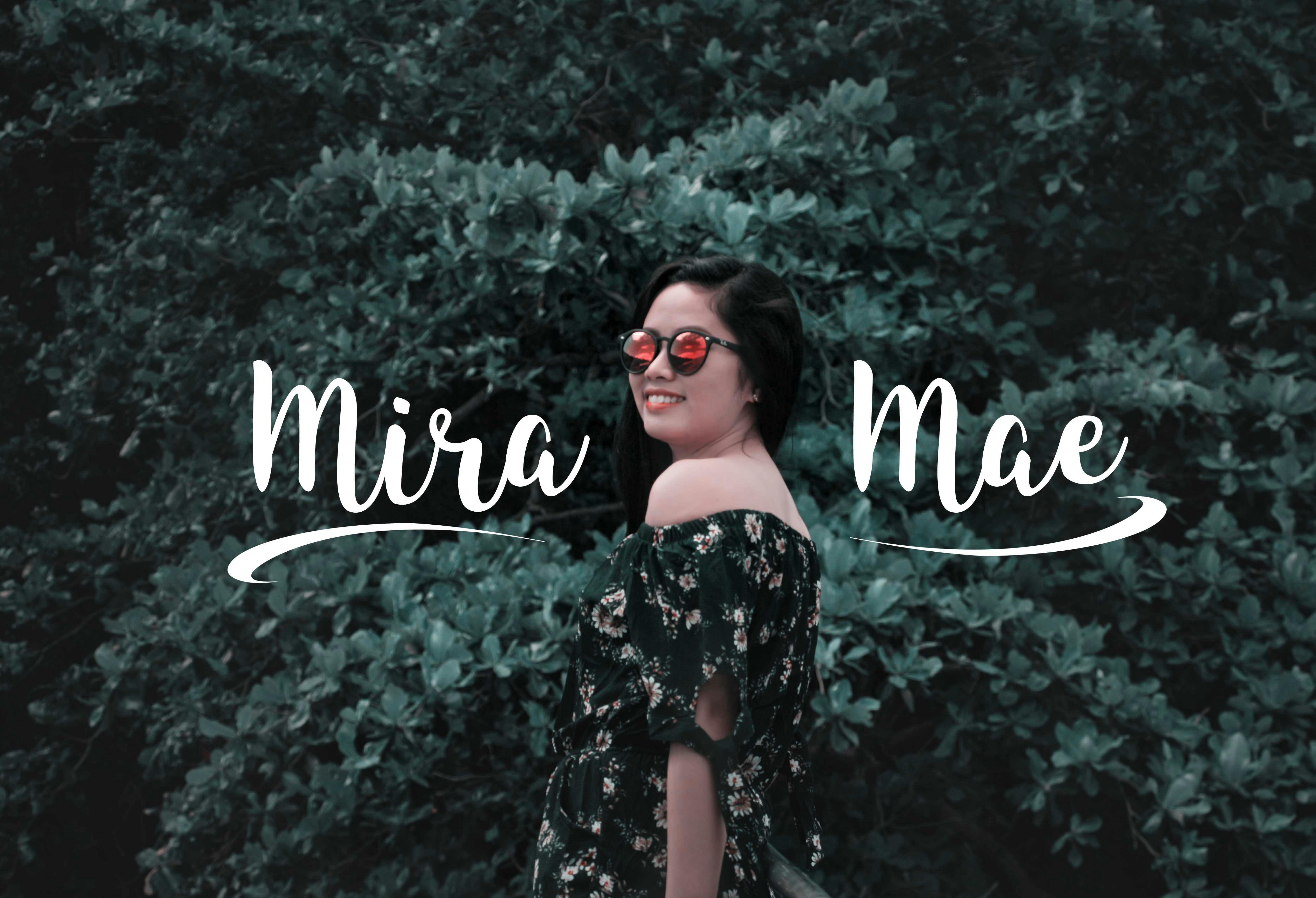 Free stock photo of festival, traditional, vintage