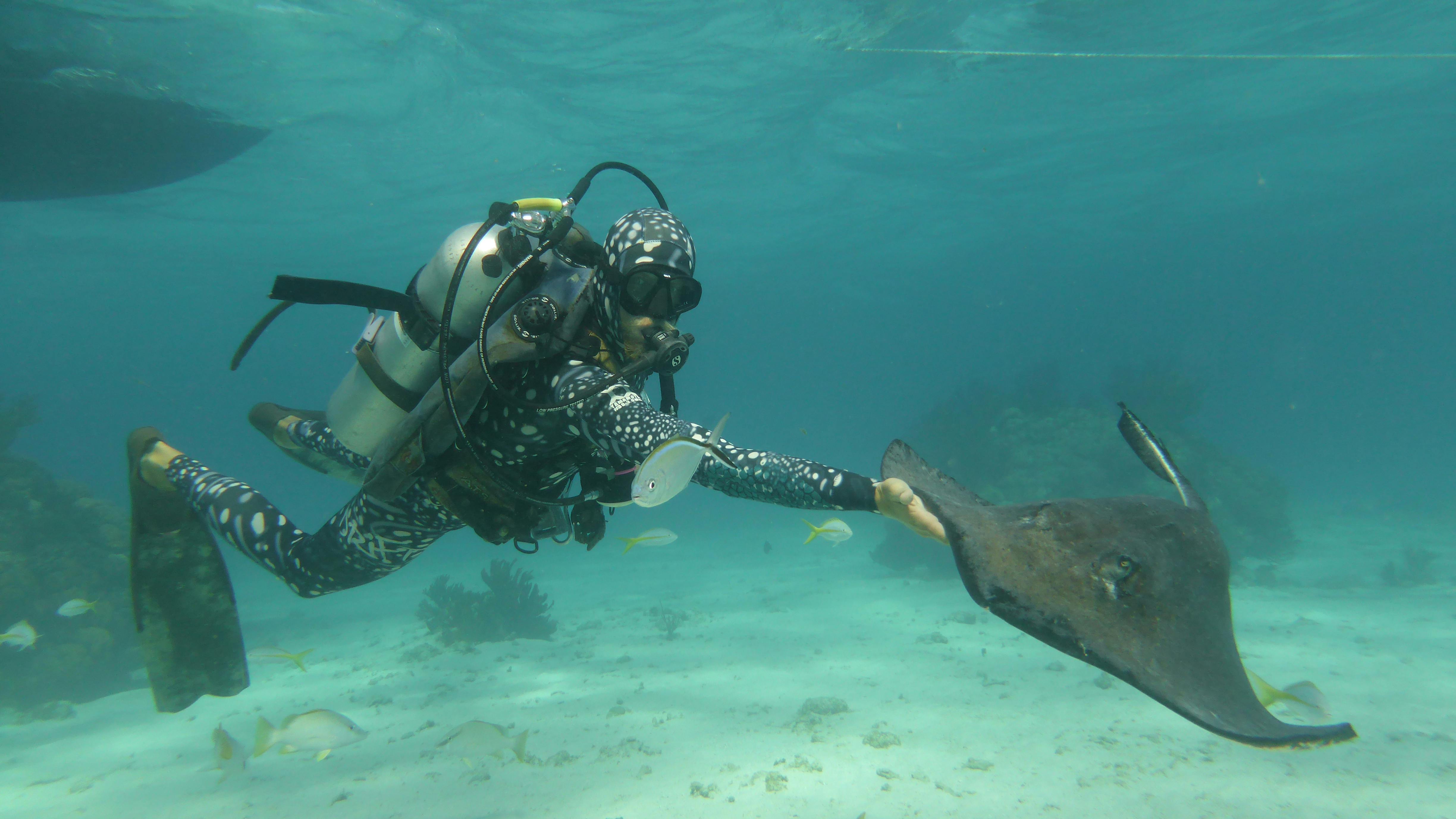 the real David Pressler - 摄影