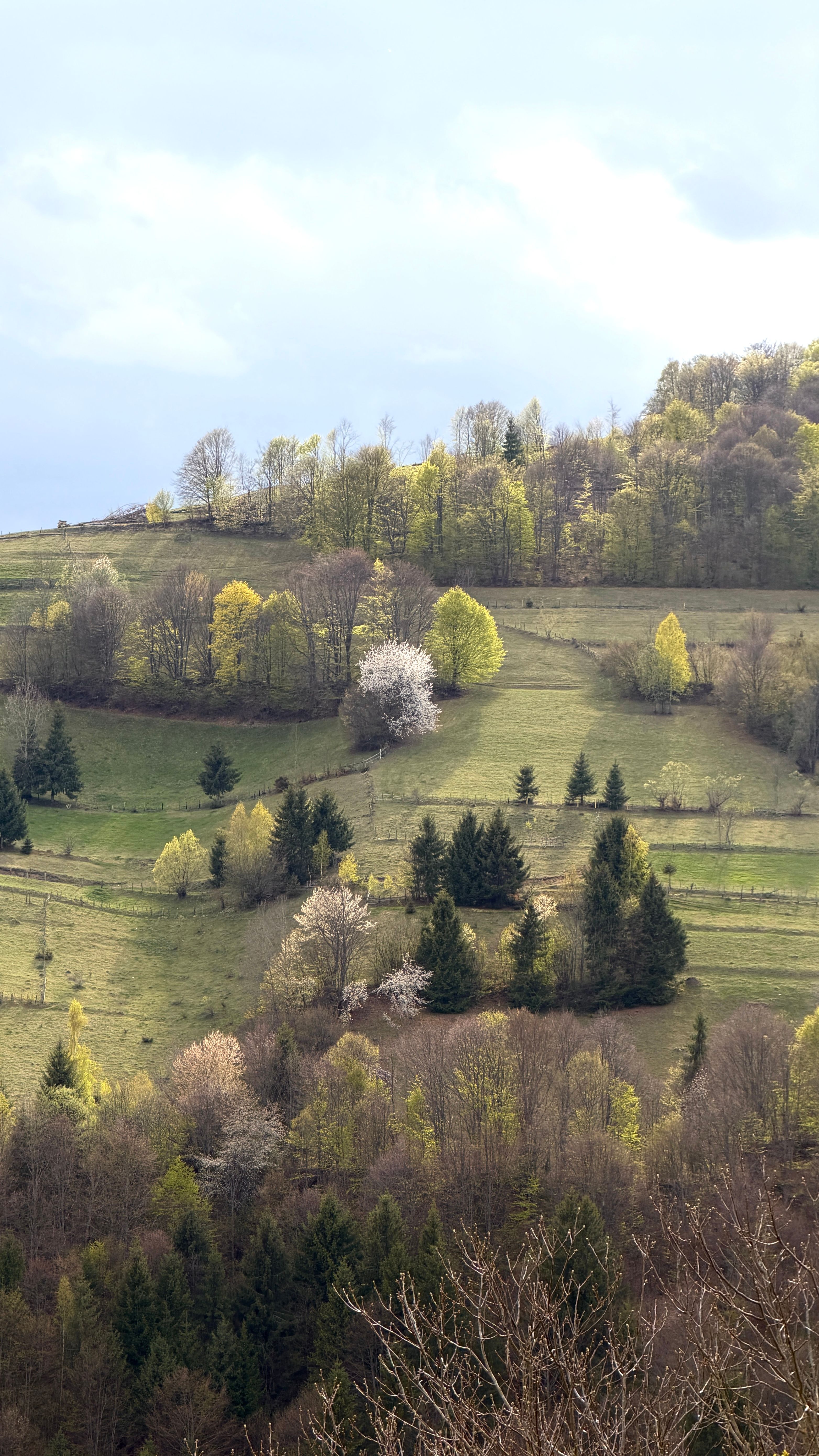April Nature Photos, Download The BEST Free April Nature Stock Photos ...