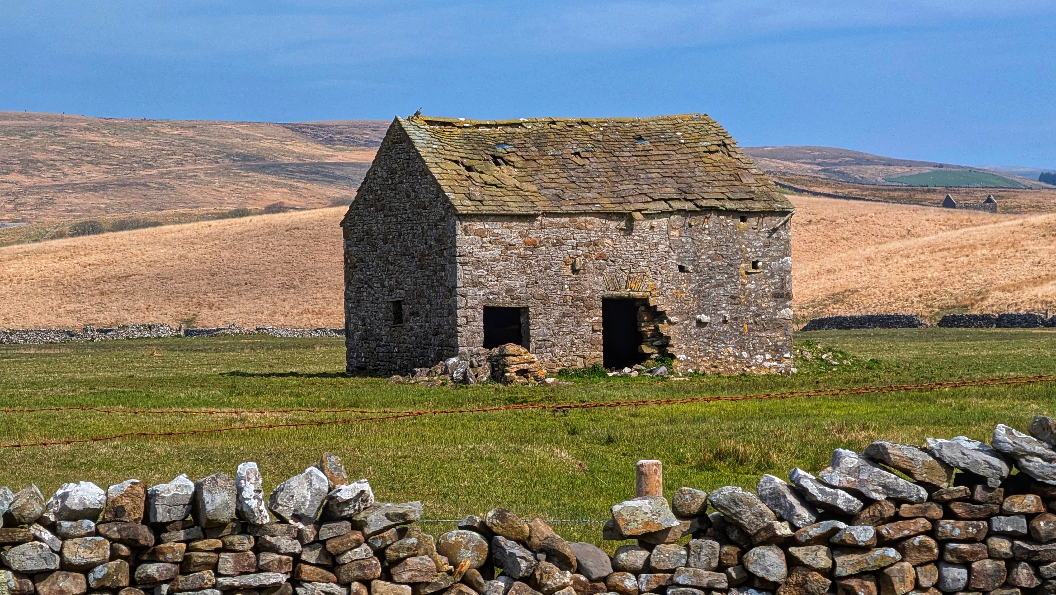 Rustic Barn in Blooming Yorkshire Dales Field · Free Stock Photo