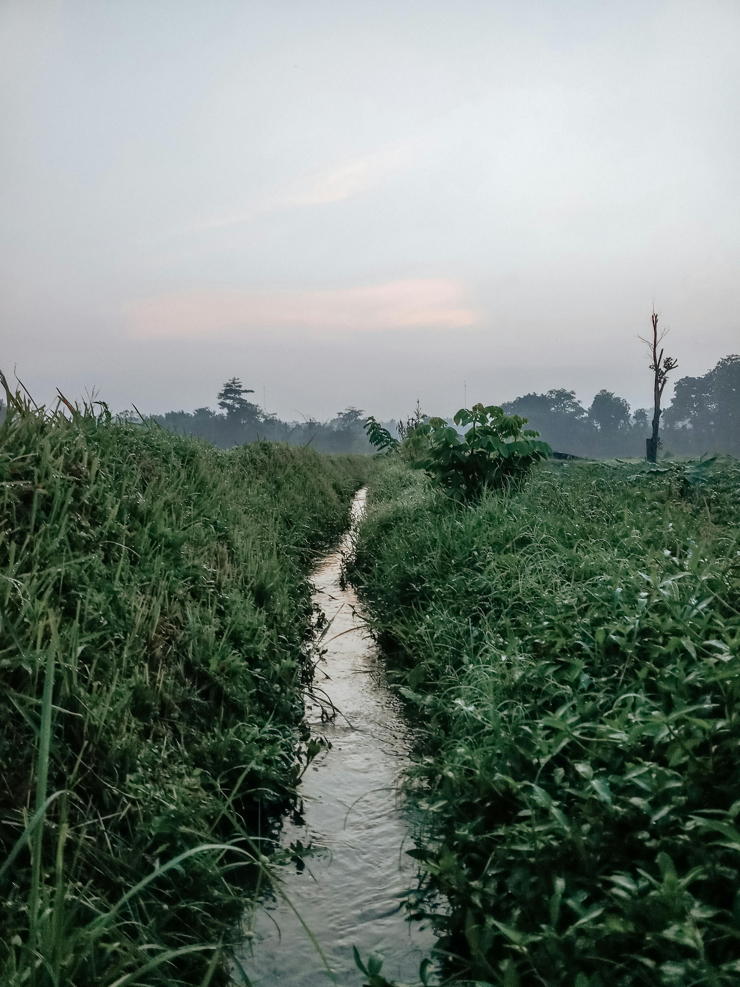 Dari Zero To Hero: Peluang atau Perangkap bagi Pekerja|dimulai dari zero