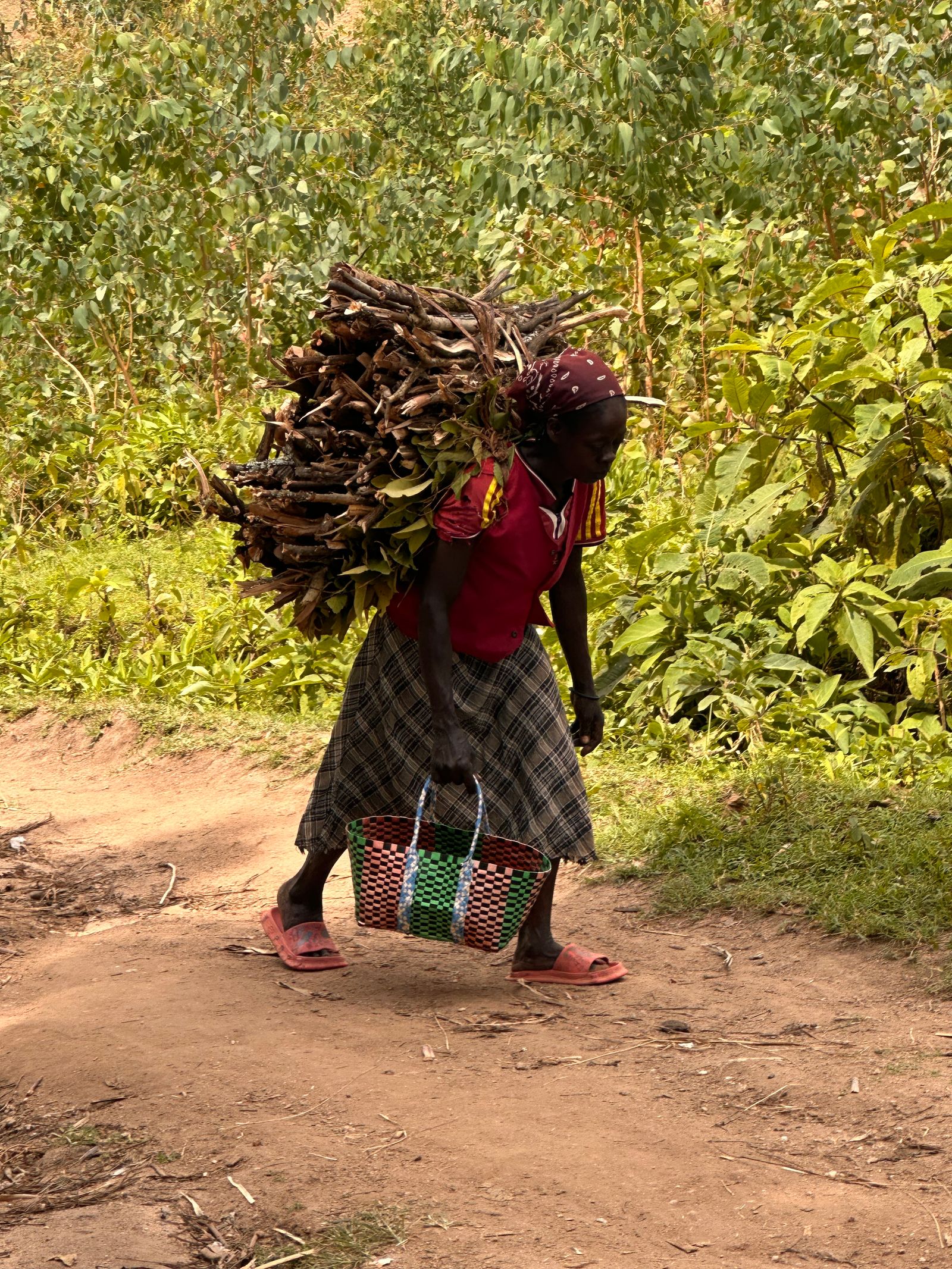 Ethiopia Photos, Download The BEST Free Ethiopia Stock Photos & HD Images