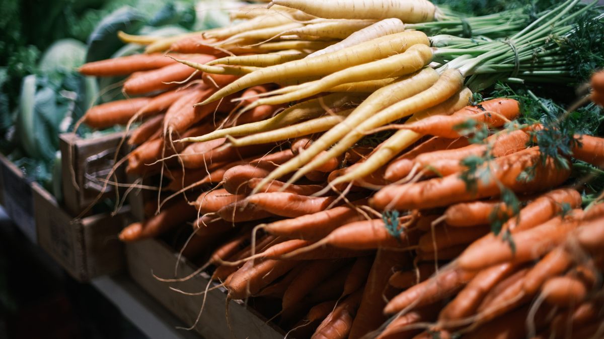Carrots Cartoon Photos, Download The BEST Free Carrots Cartoon Stock ...
