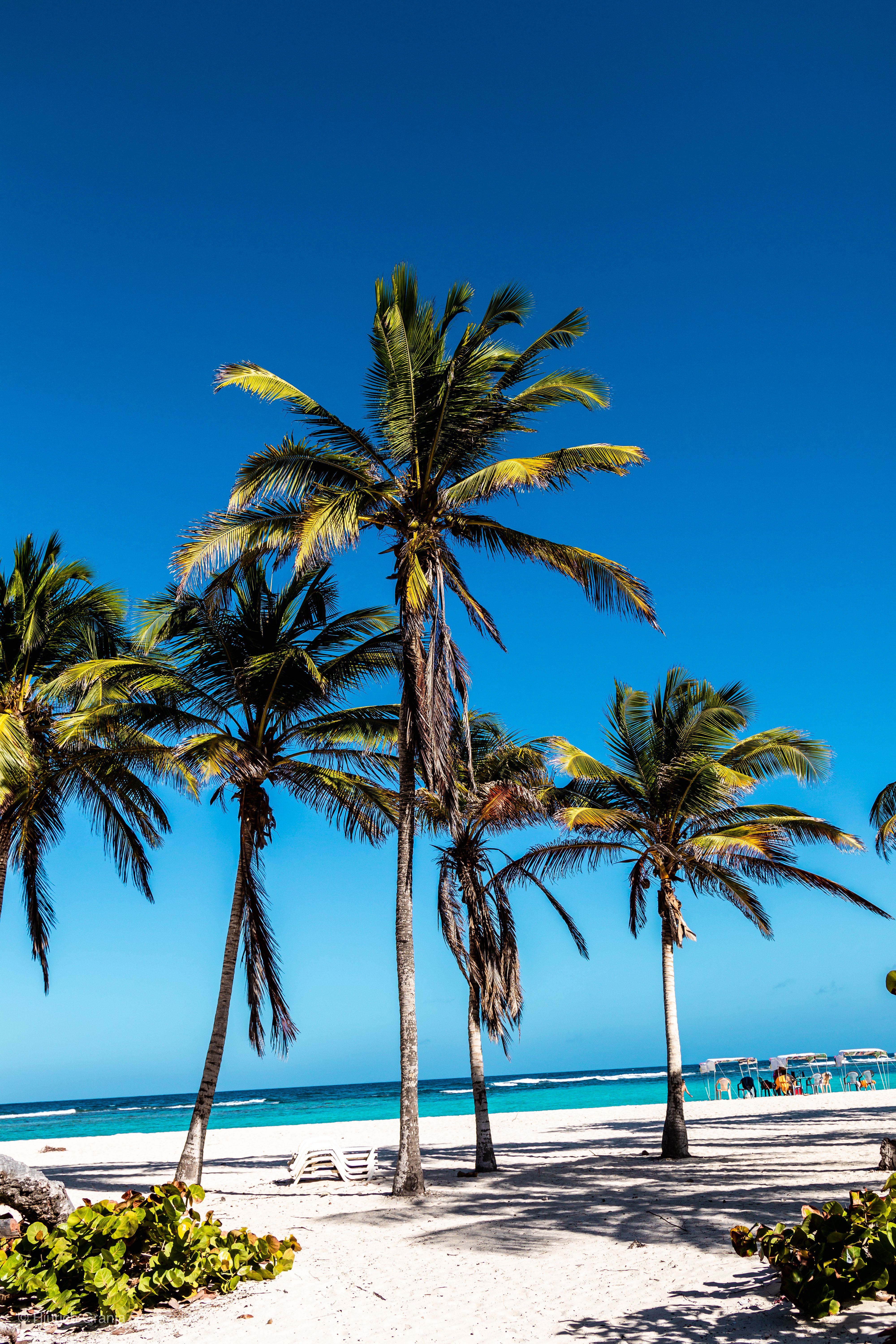Beach · Pexels