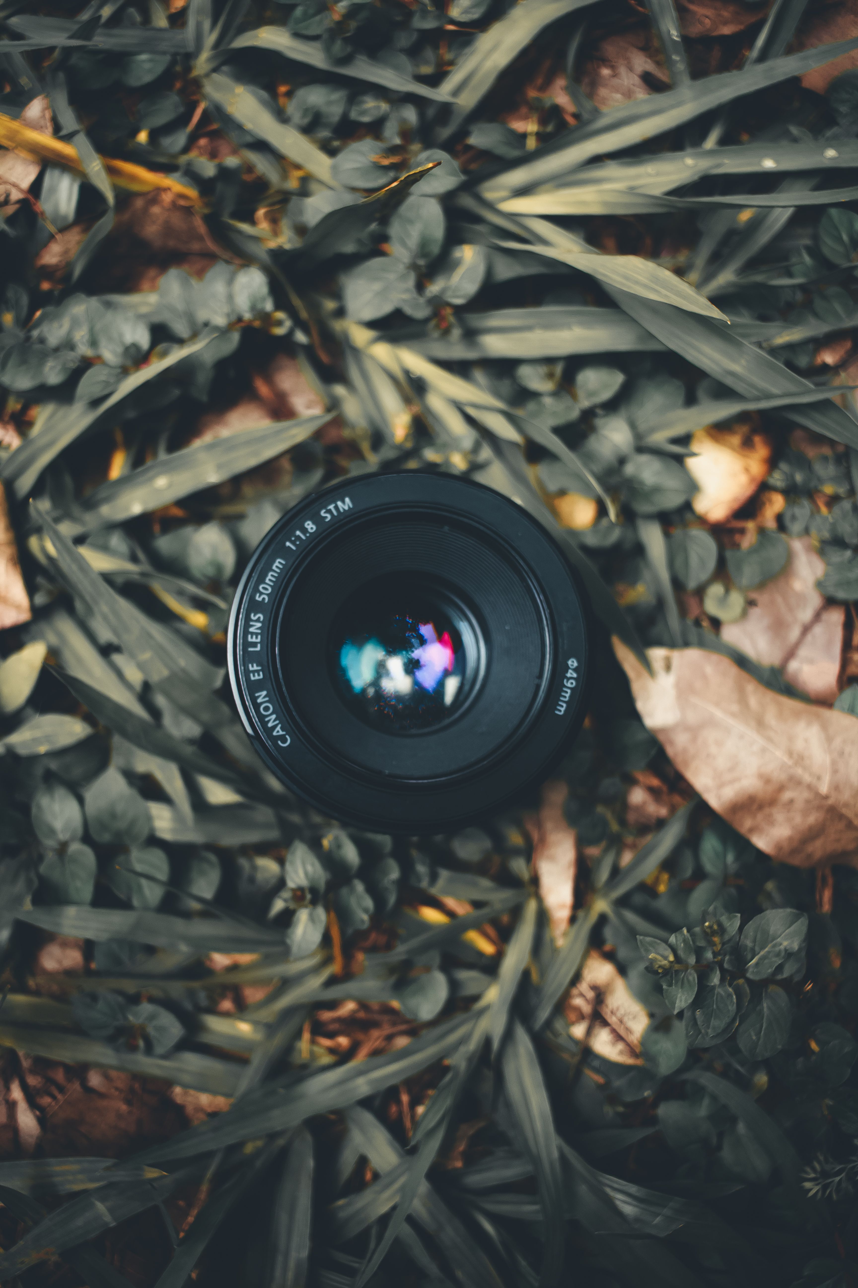 Camera Lens in Close Up Photography · Free Stock Photo