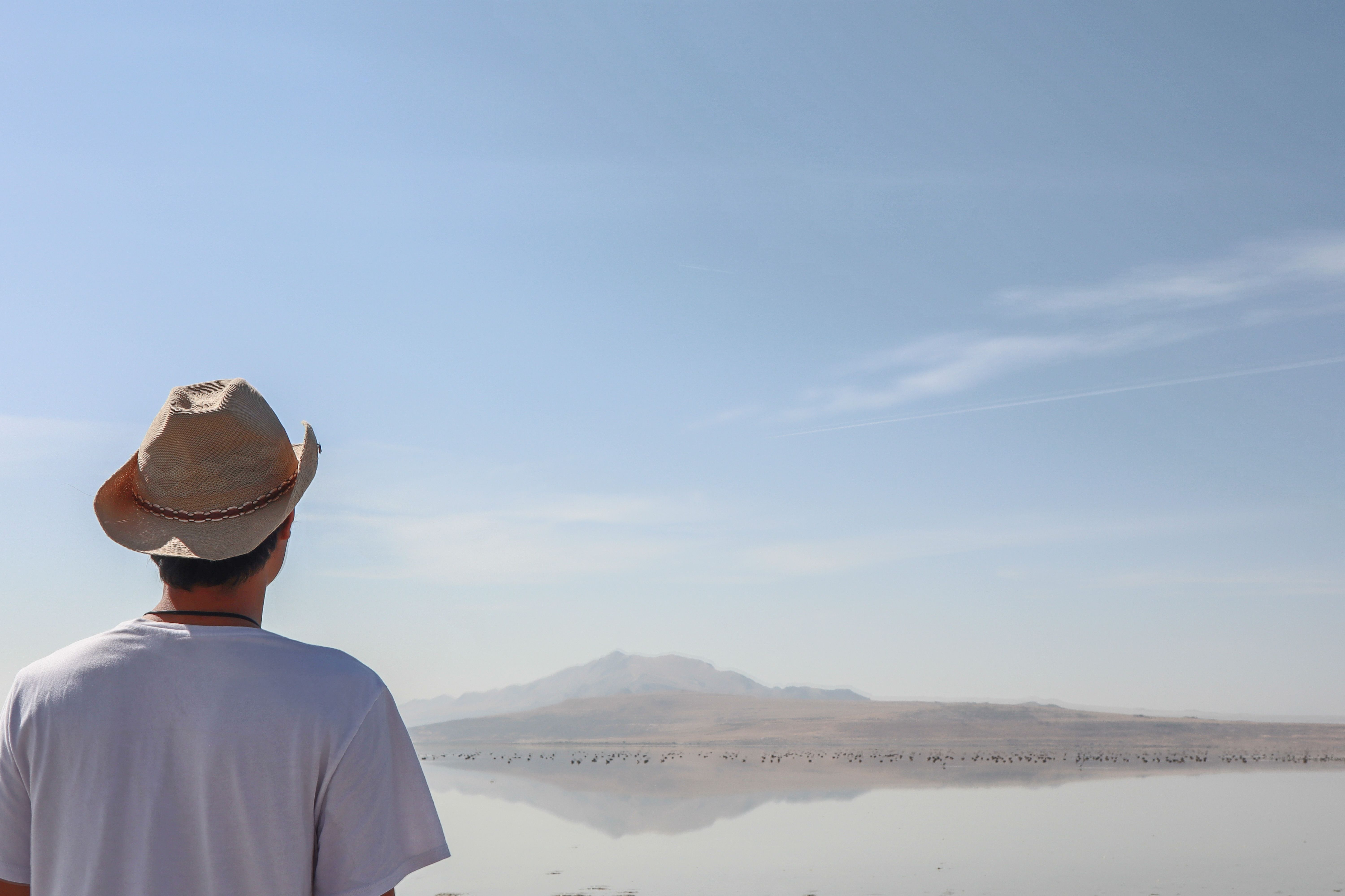 A Man in Black Collared Shirt · Free Stock Photo