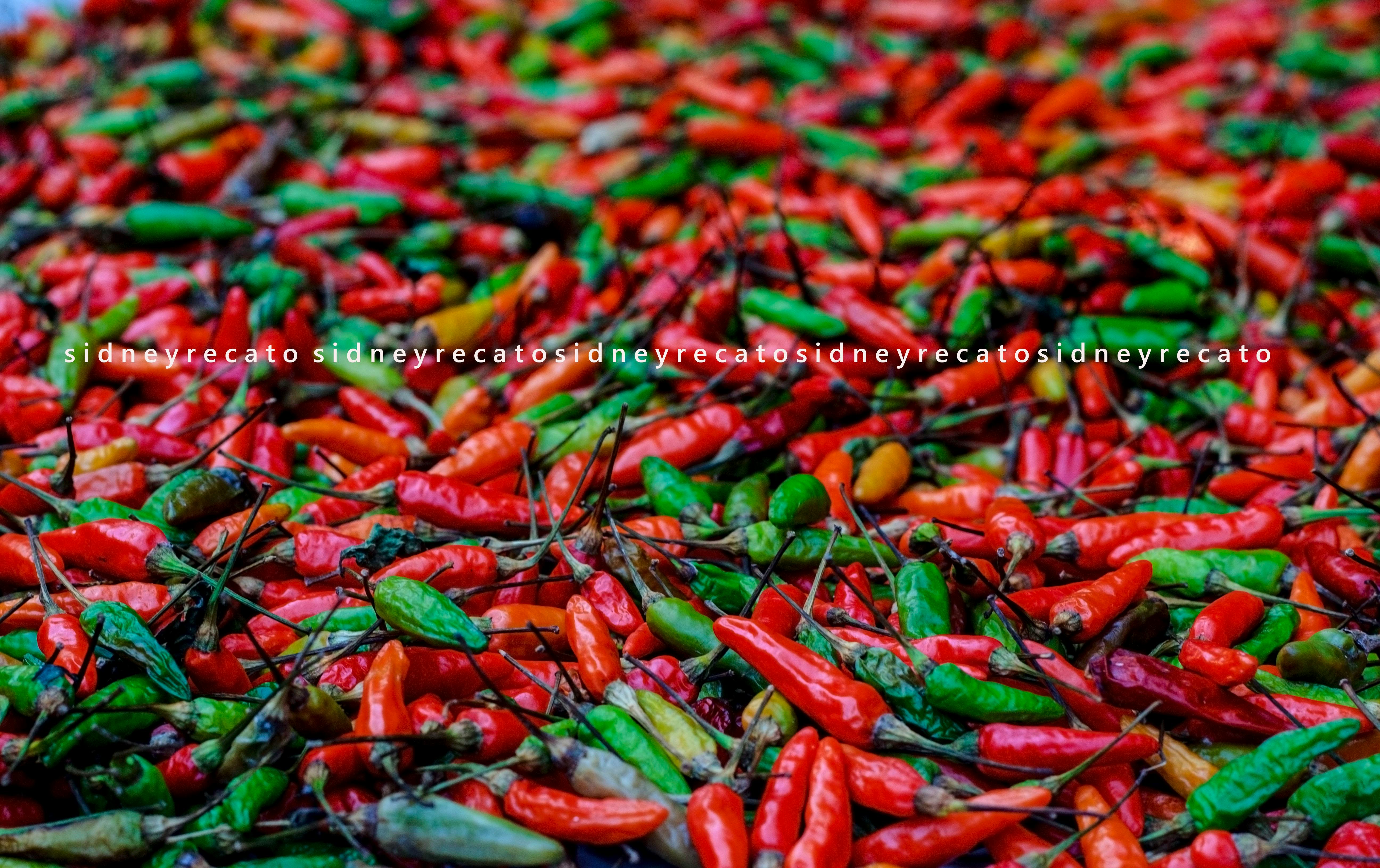 Sidney Recato - Photography