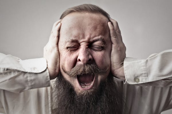 1000张最精彩的 Ear”图片 · 100免费下载 · Pexels素材图片