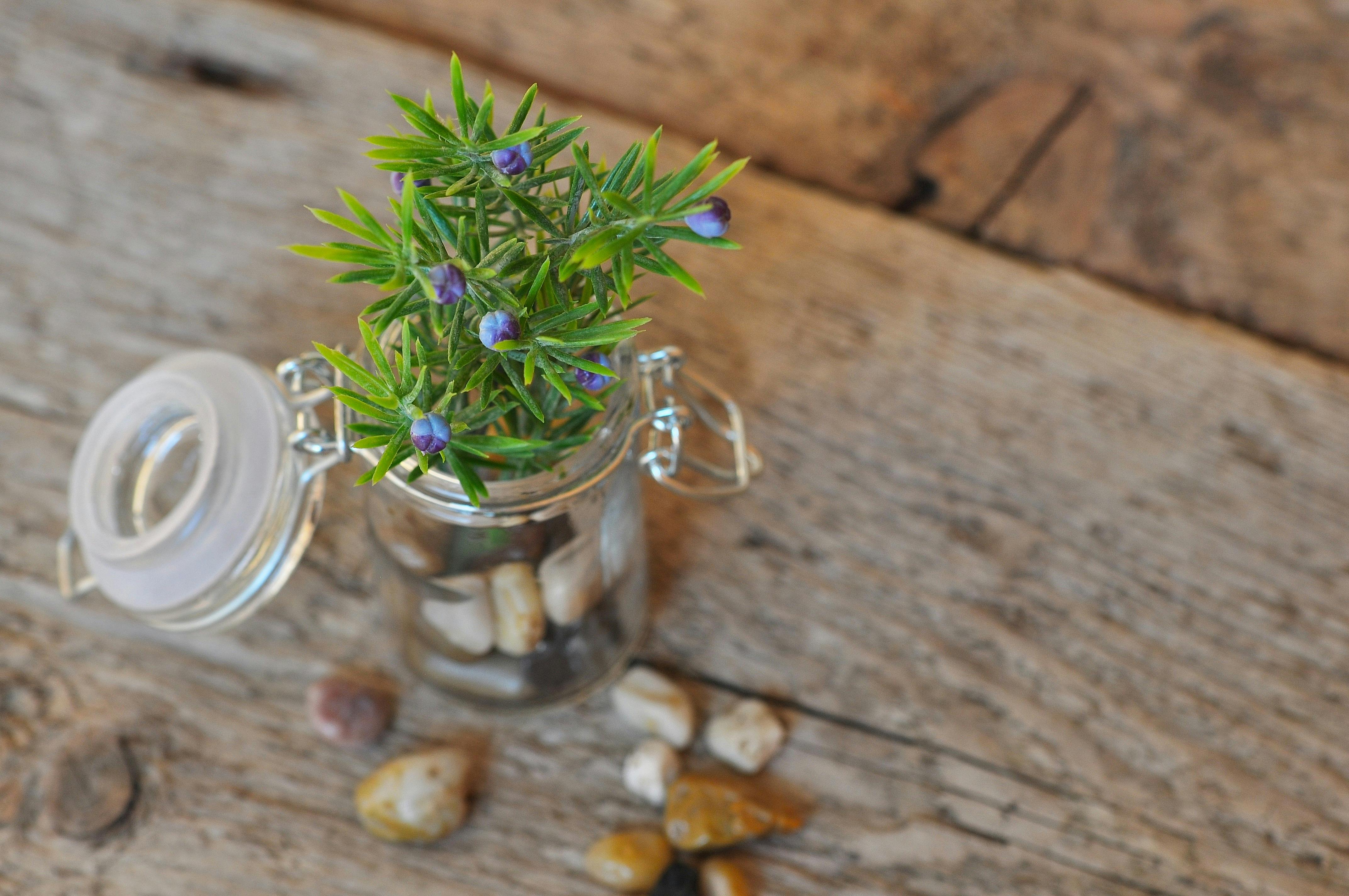 23 DIY Mini Plant Terrarium Ideas