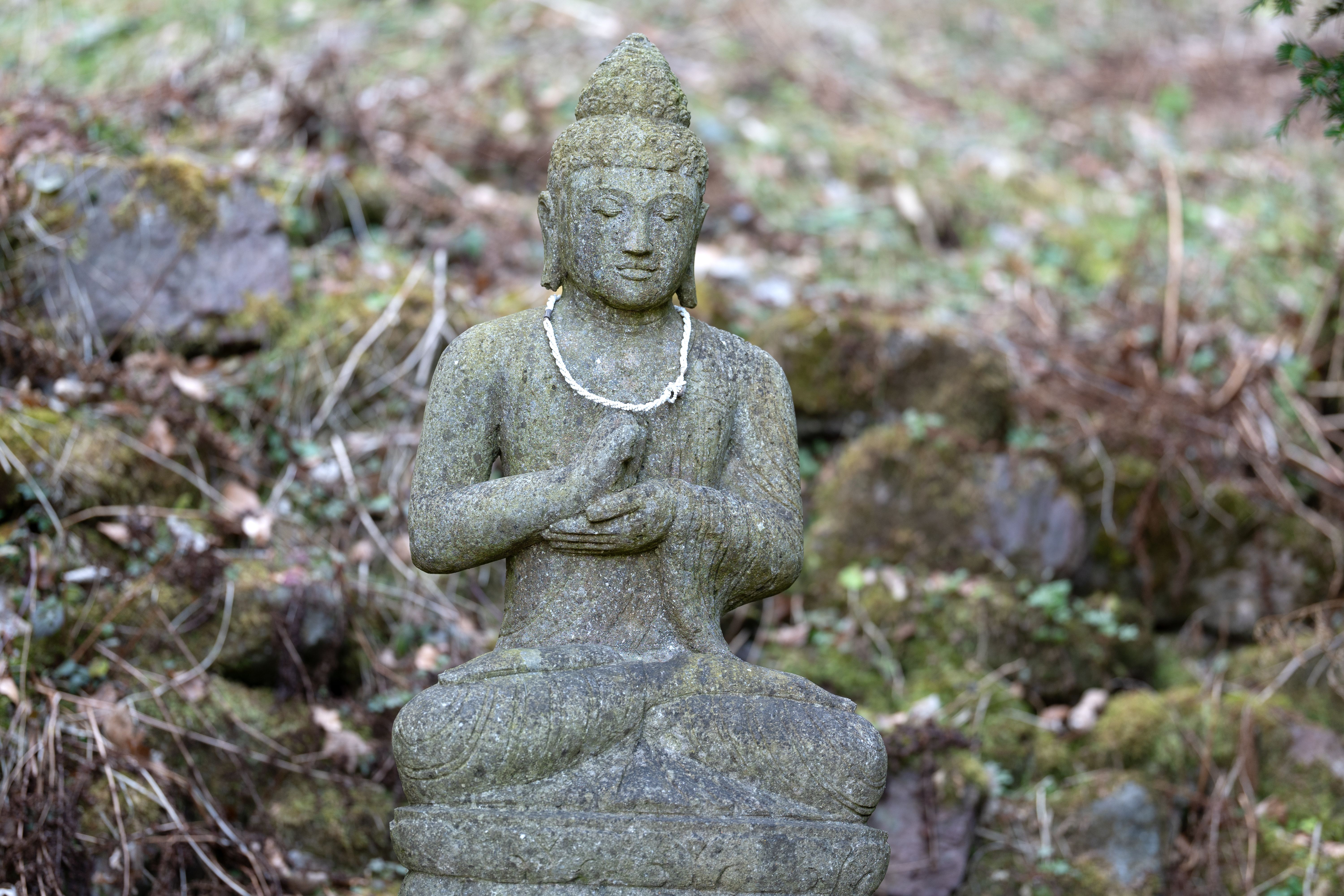 Serene Stone Buddha Statue in Forest Setting · Free Stock Photo