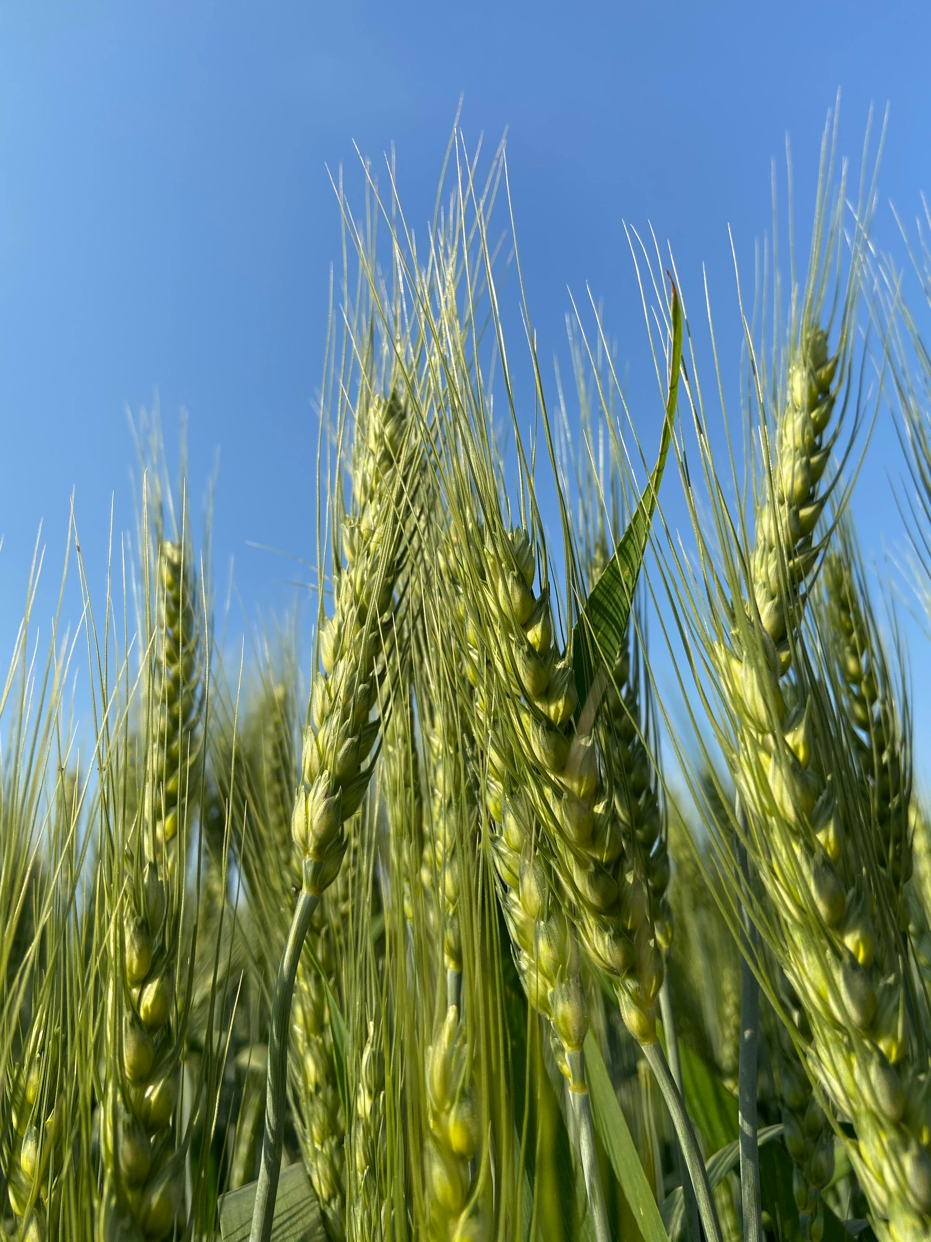 Mohit Tandon - Photography