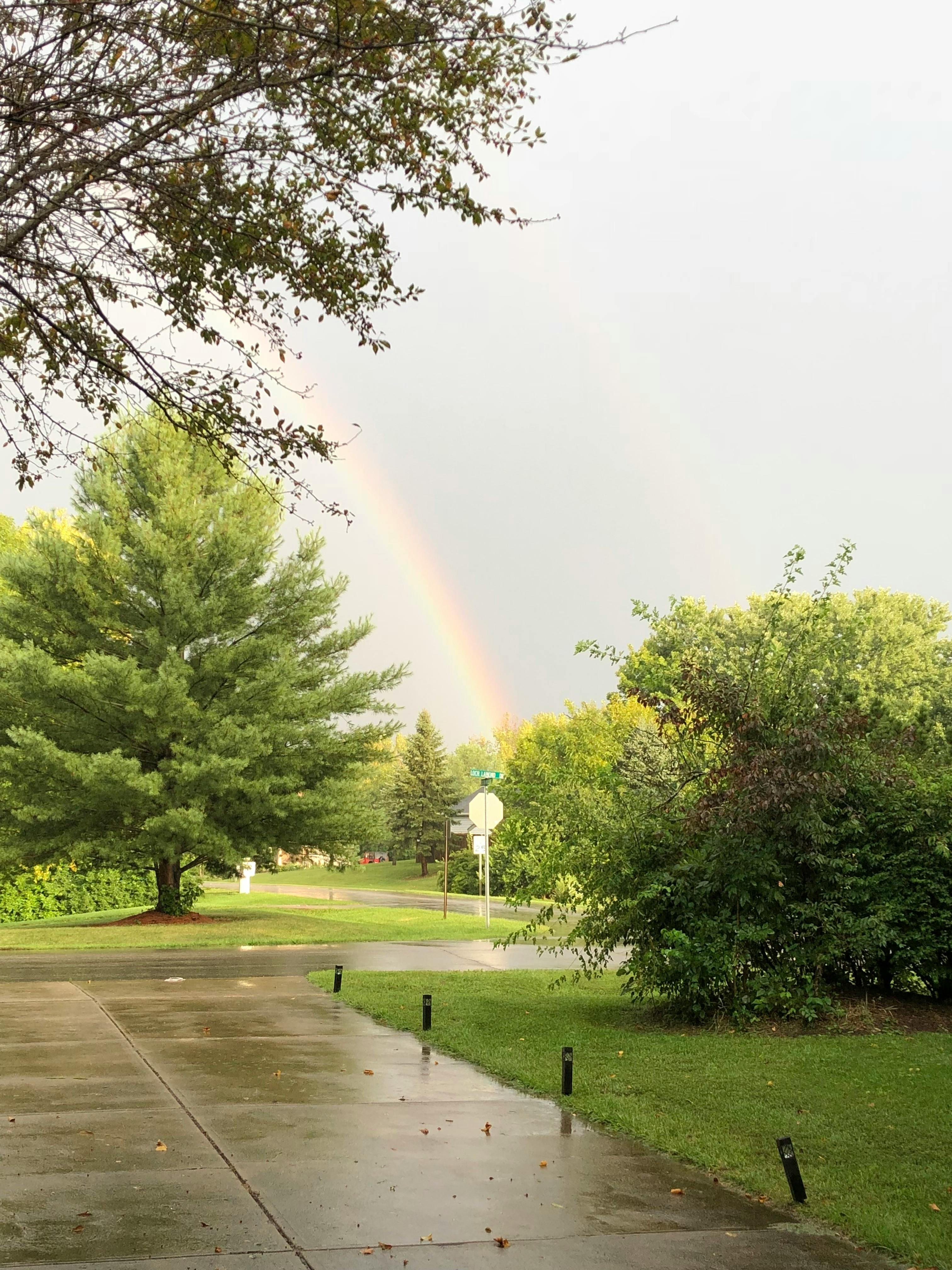 Danny Lawson - 摄影