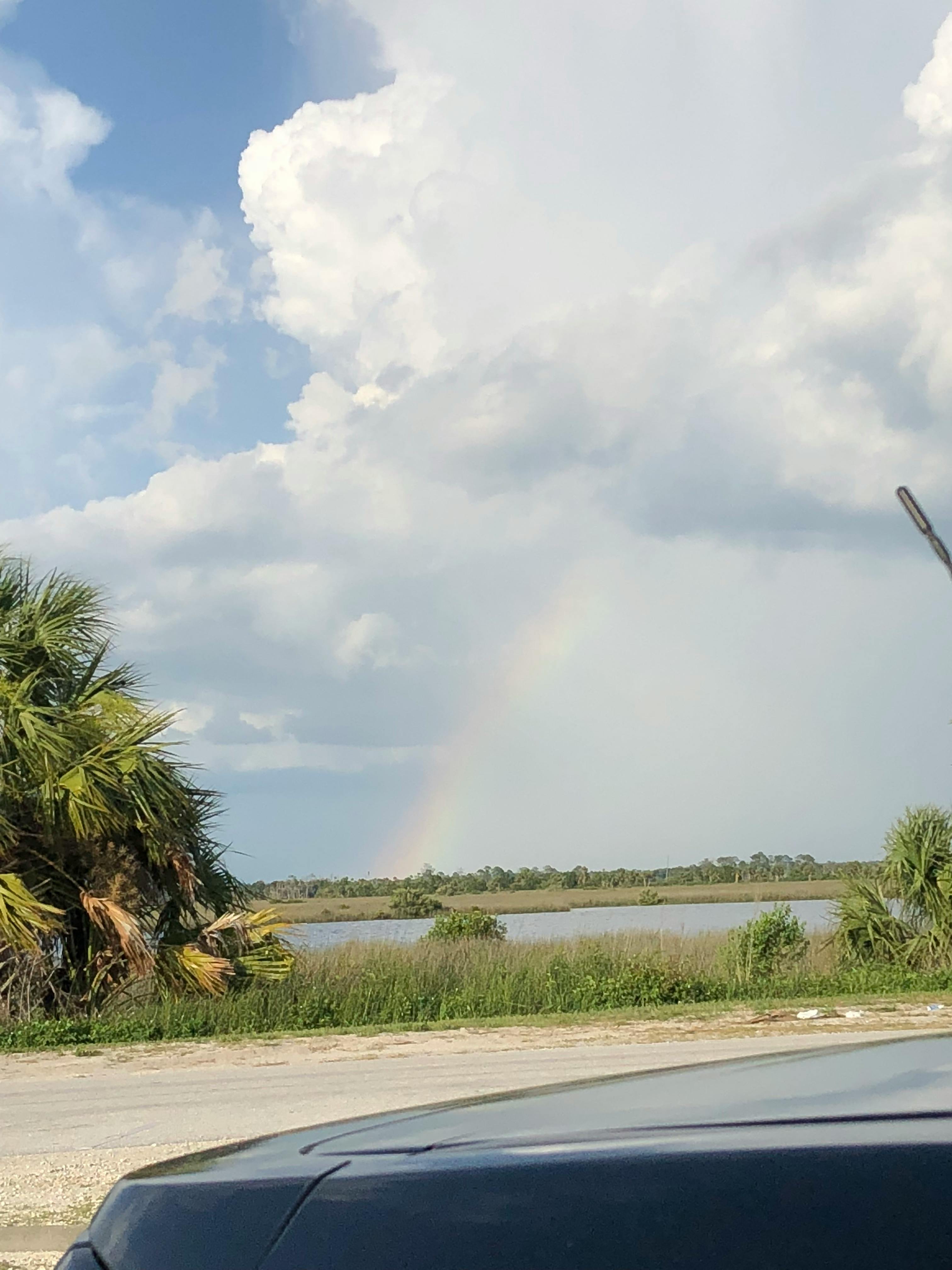 Danny Lawson - 摄影