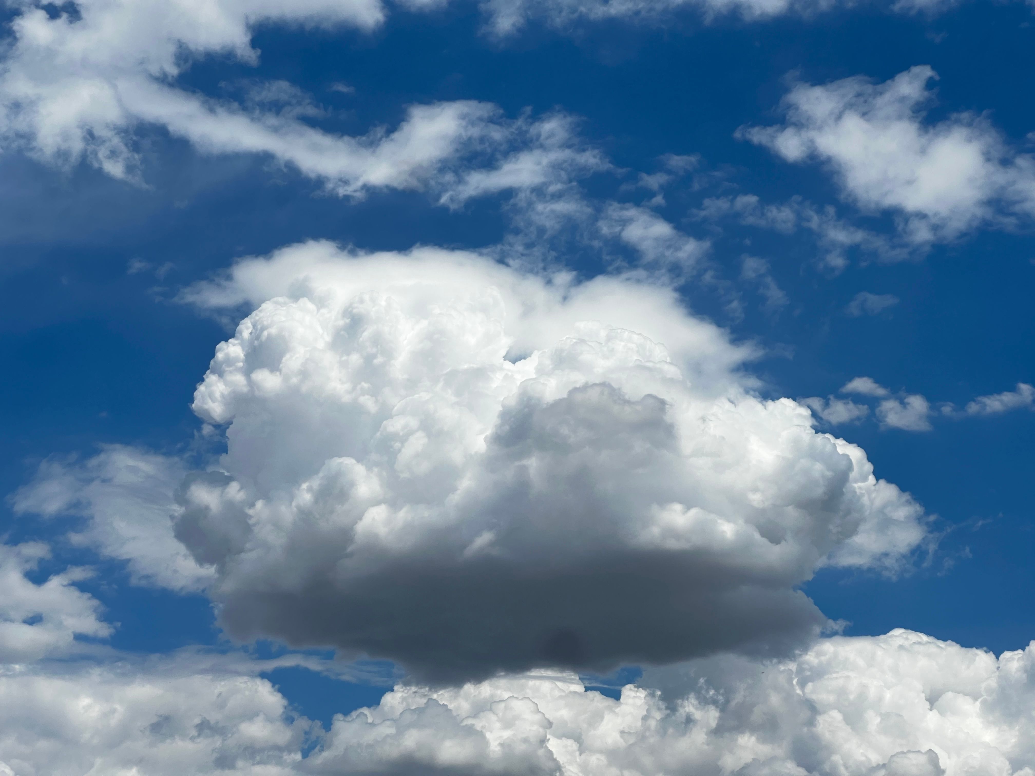 Bellast.Cloud+Leaked Photos, Download The BEST Free Bellast.Cloud ...