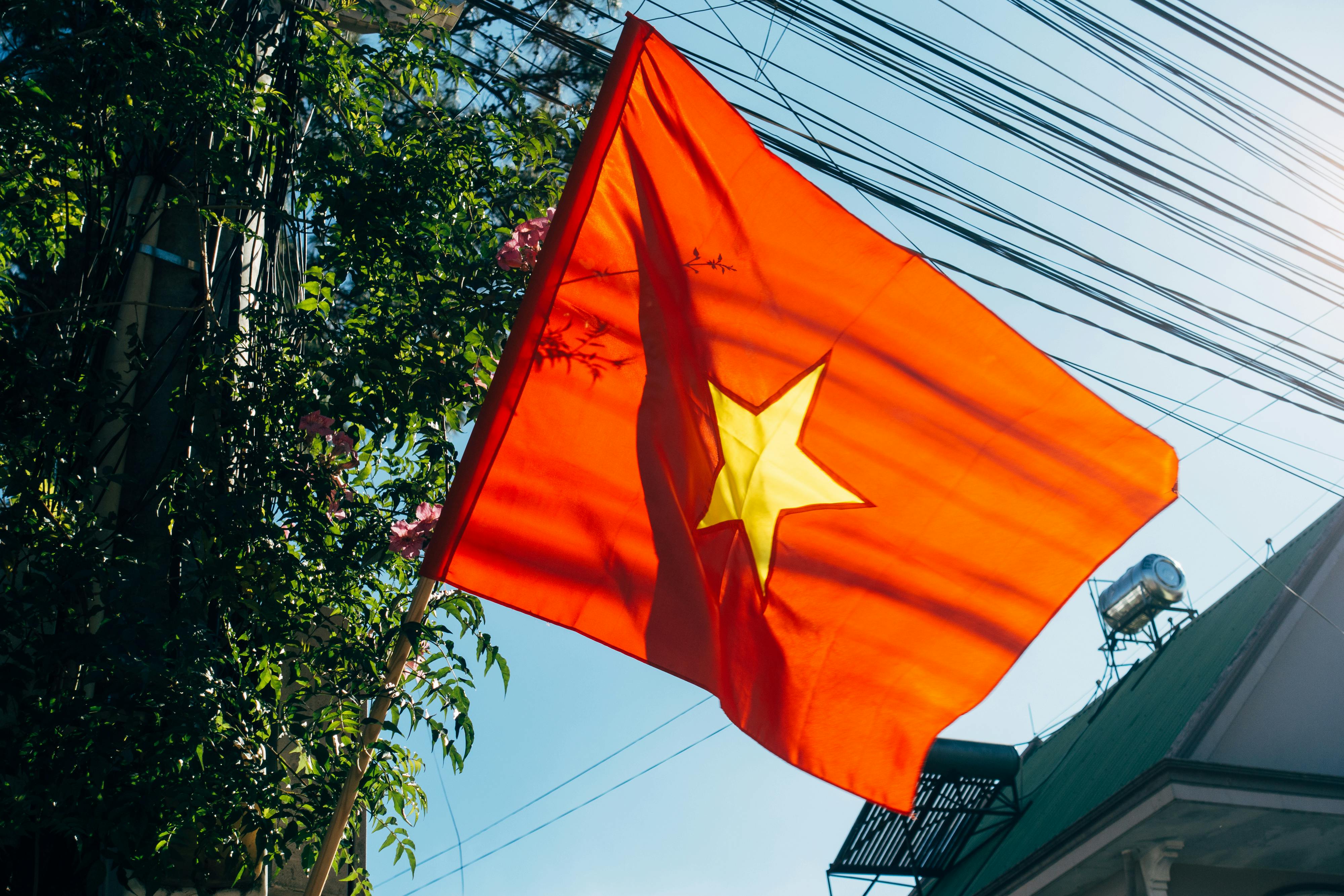 Vietnam Flag Photos, Download The BEST Free Vietnam Flag Stock Photos ...
