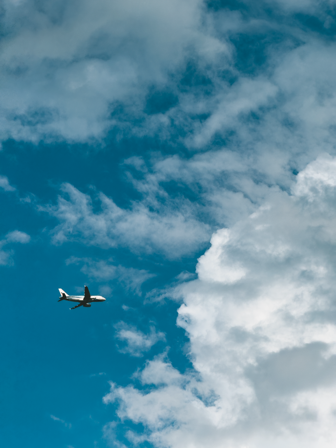 Airplane in Bright Blue Sky with Fluffy Clouds · Free Stock Photo