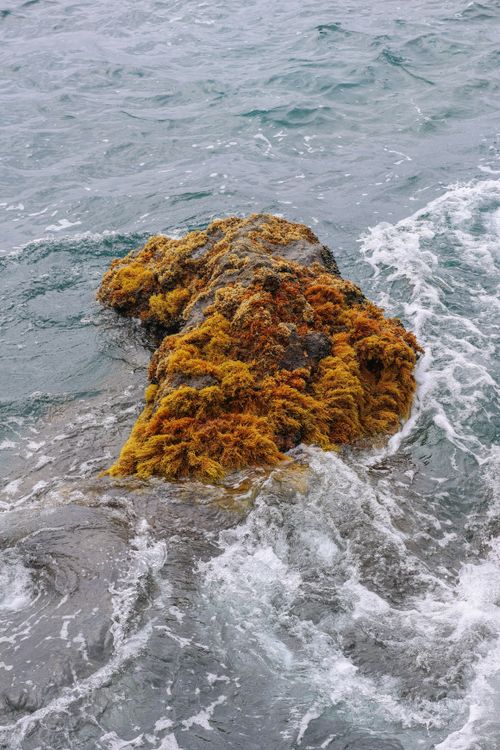 Moss-Covered Rock in Ocean Waves, Canary Islands · Free Stock Photo