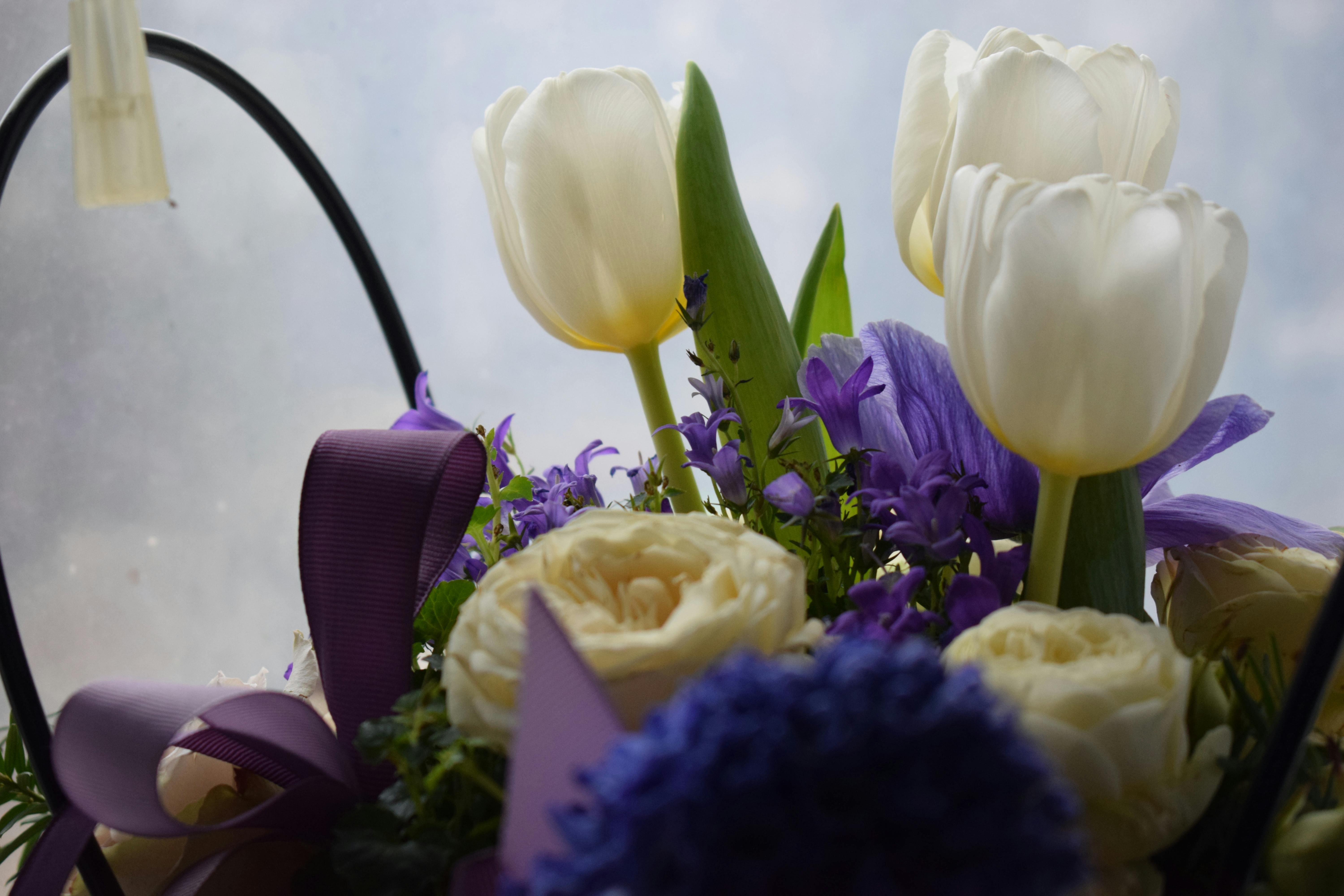 White and Purple Flower Bouquet · Free Stock Photo