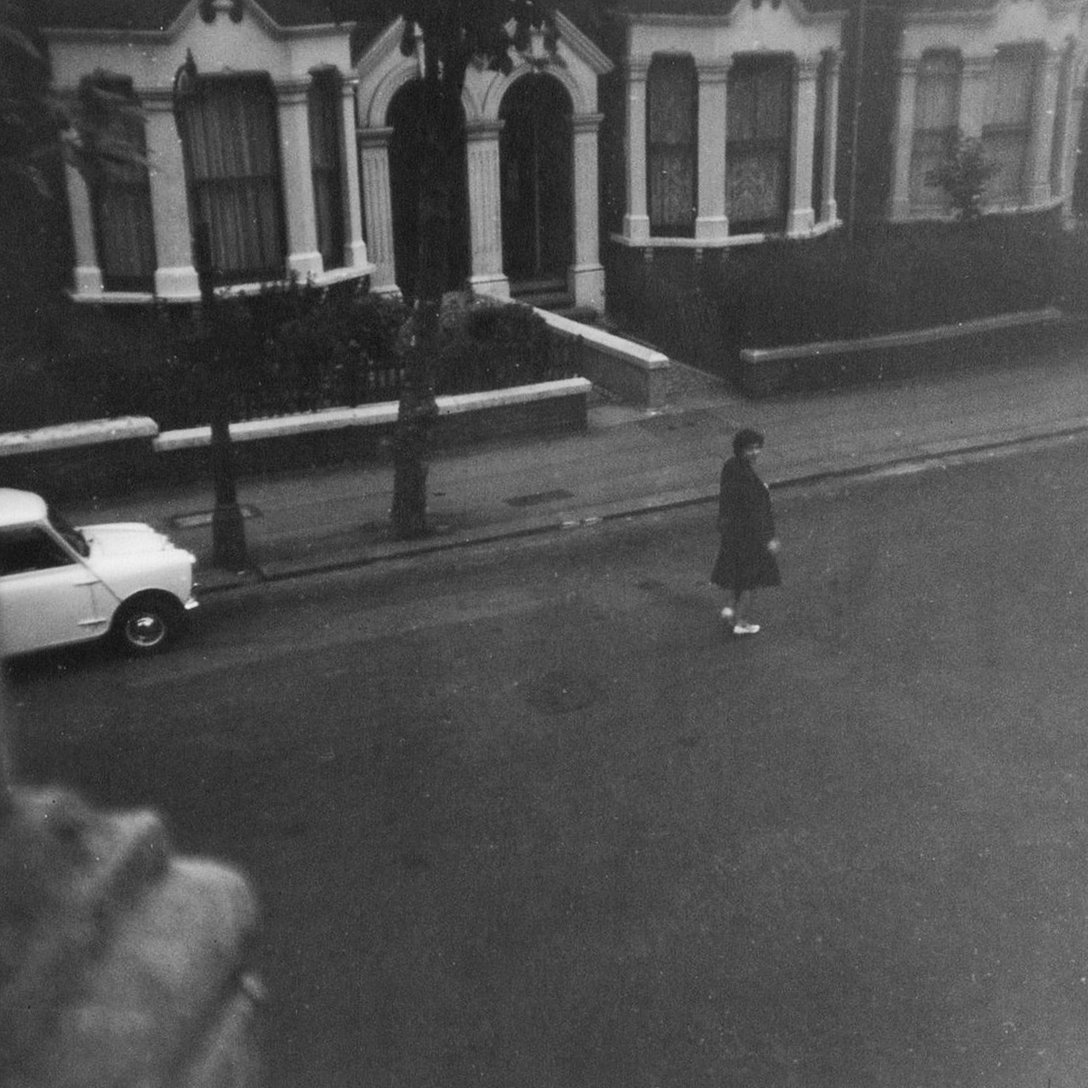 What is Dollar Tree Logos – Logomakershop Glossary