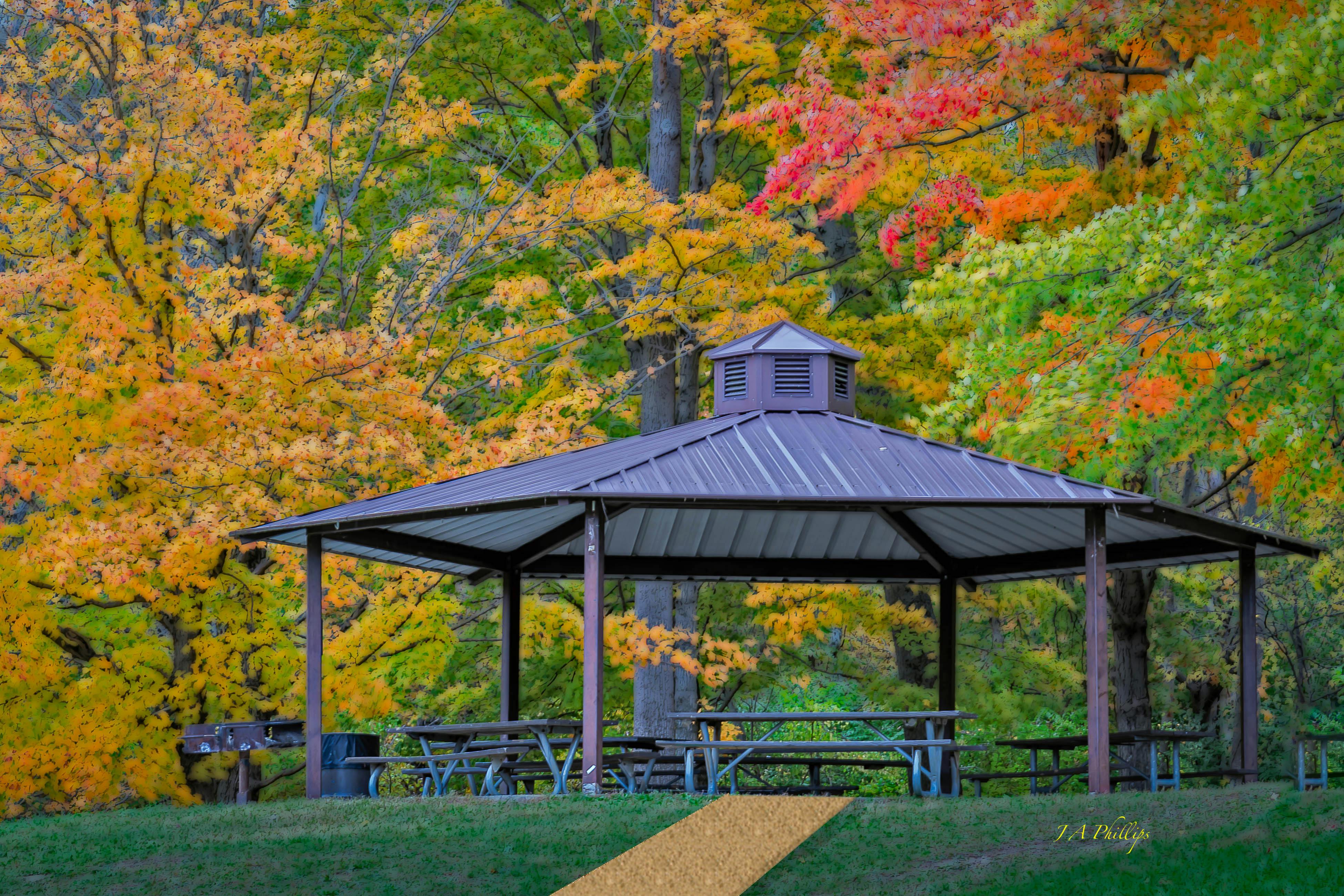 Joseph Phillips - Fotografía