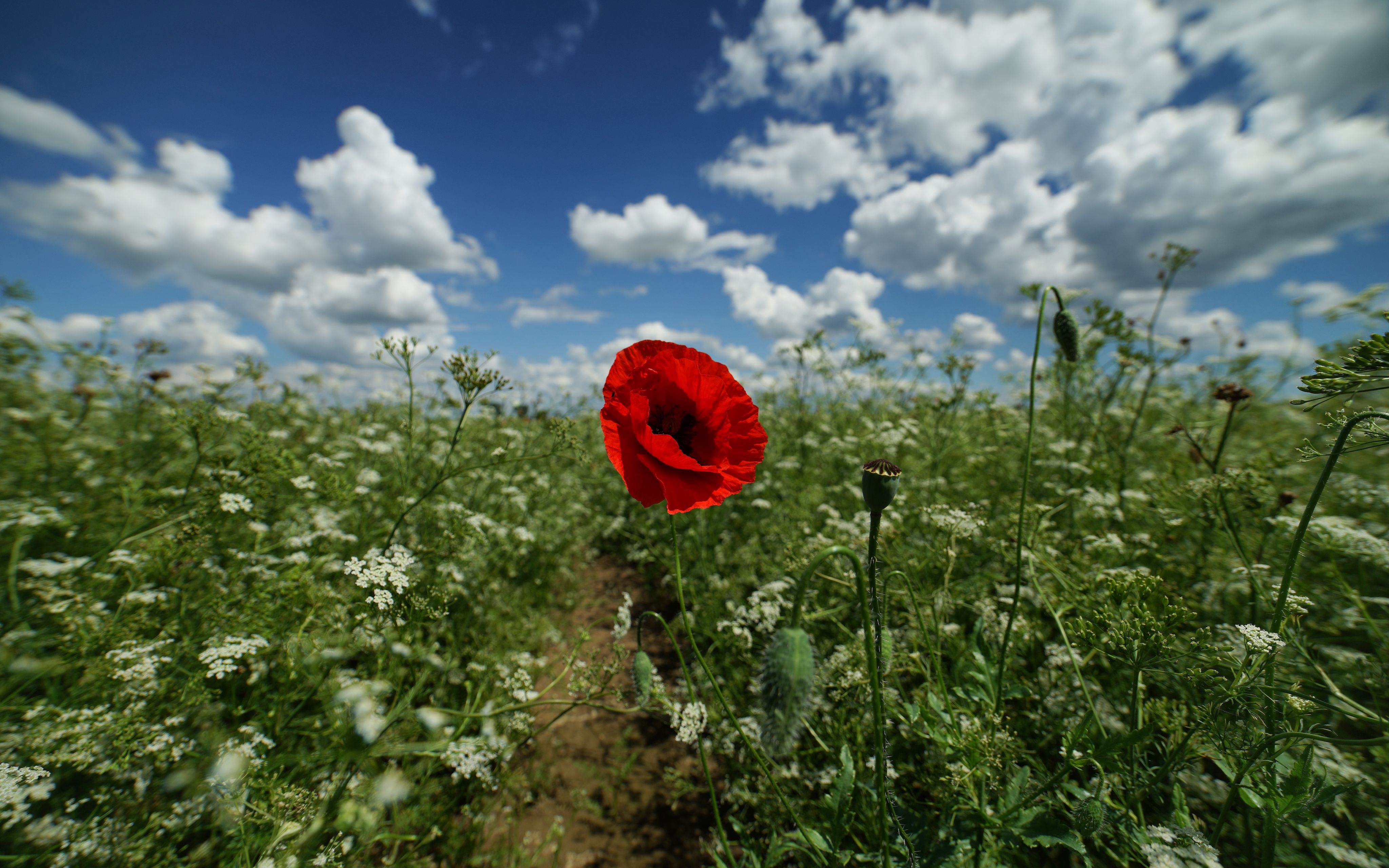 Free Stock Photos, Royalty Free Stock Images & Copyright Free Pictures ...