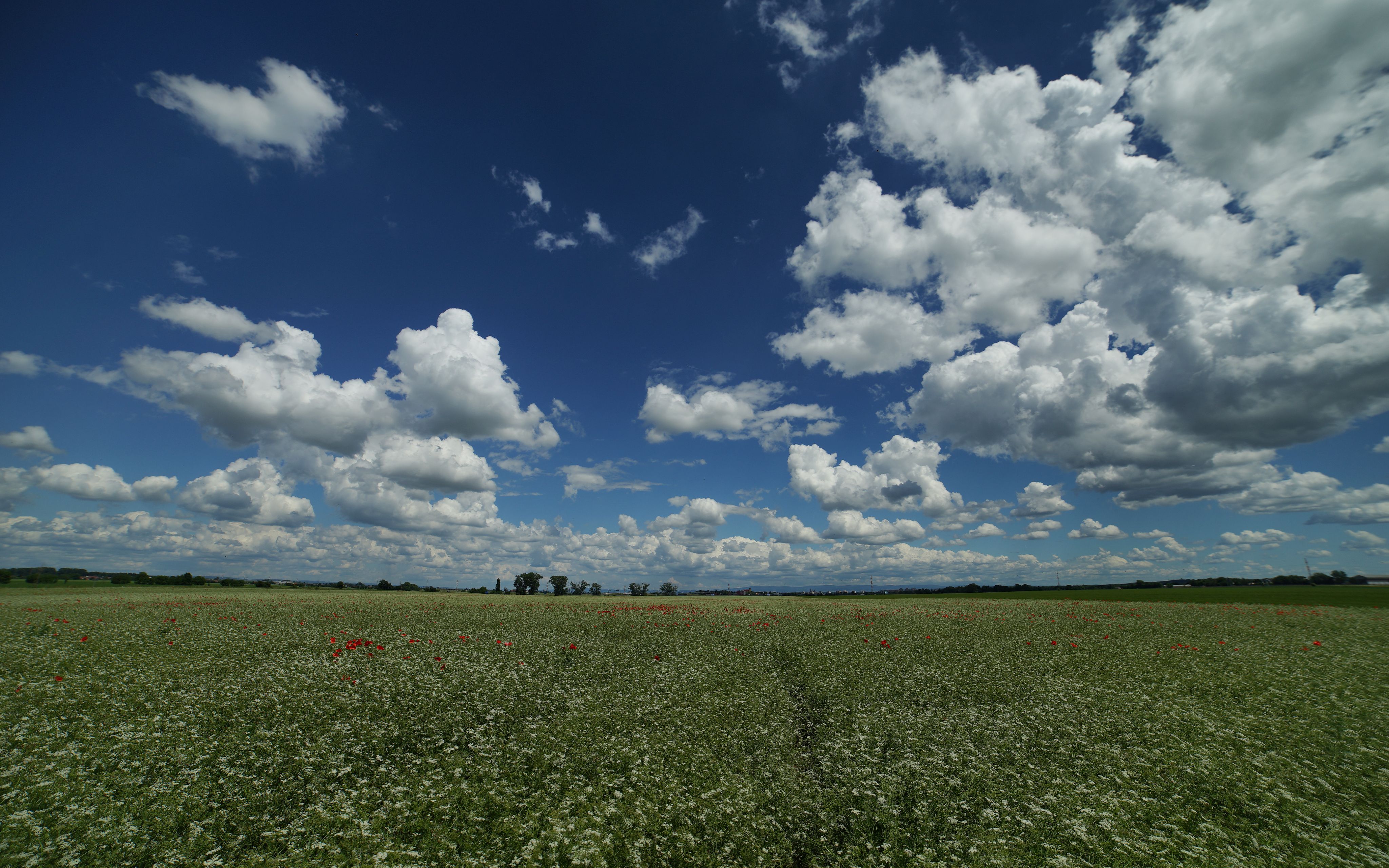 Free Stock Photos, Royalty Free Stock Images & Copyright Free Pictures ...