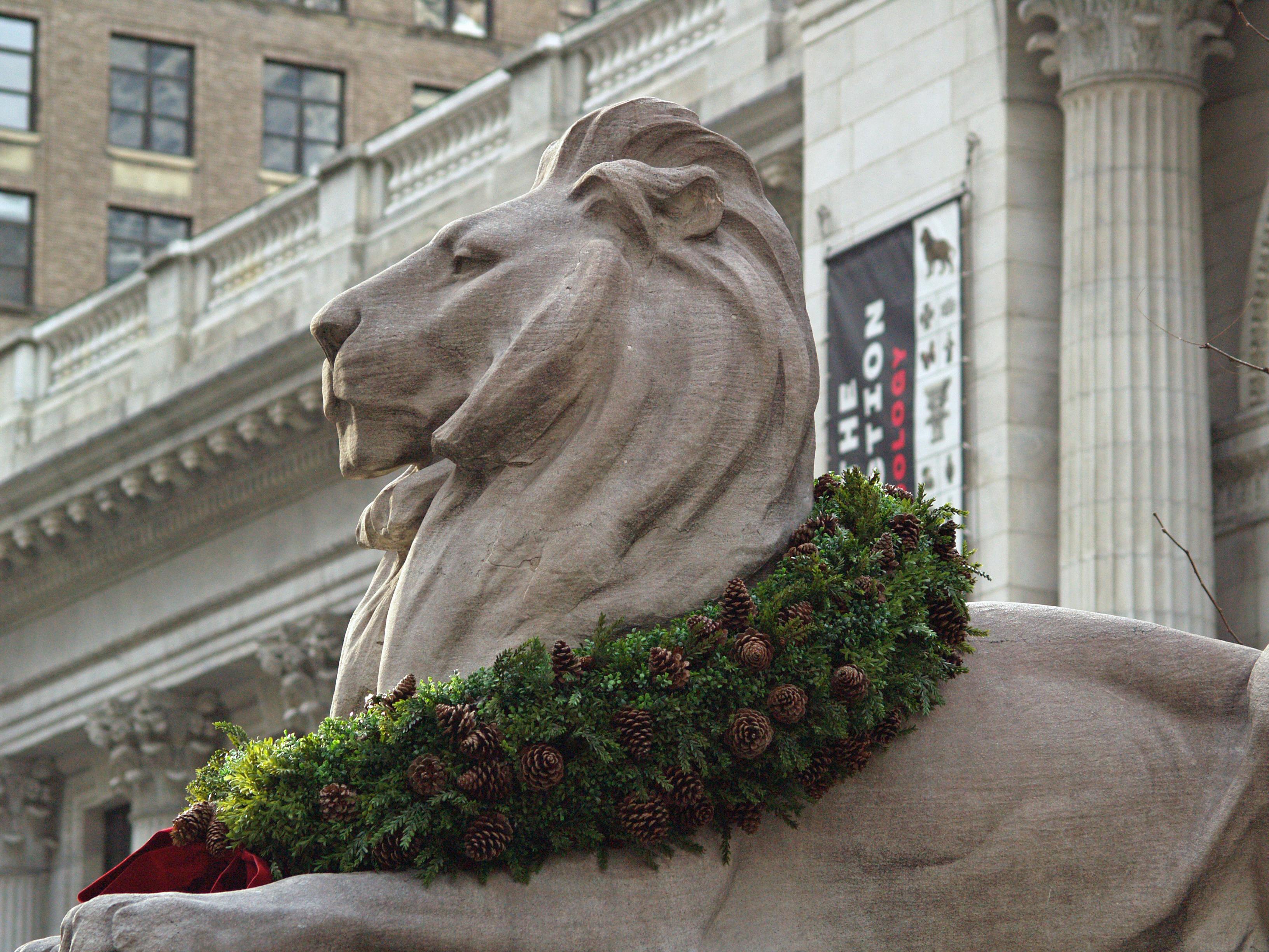 Free stock photo of buildings, lion, new york