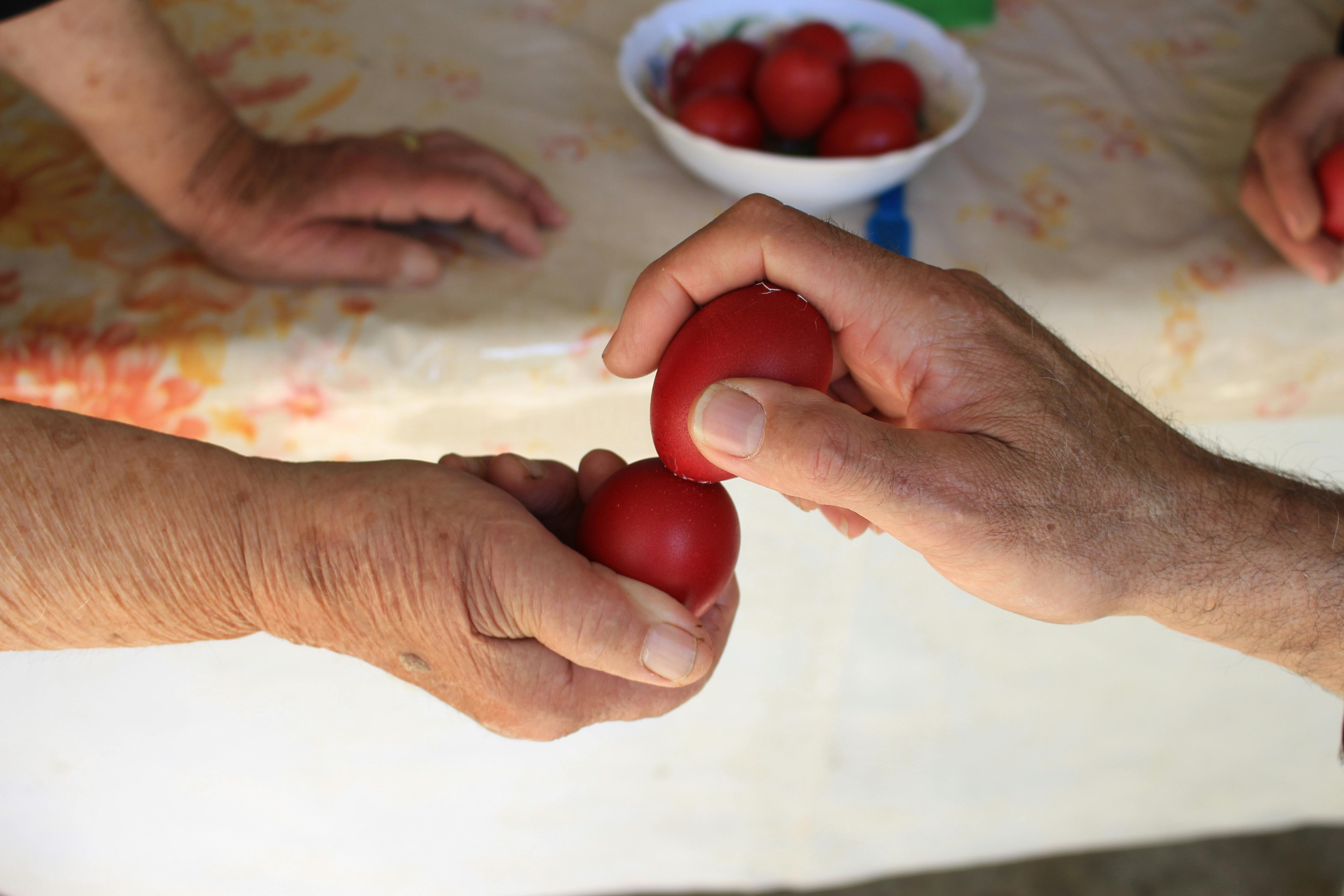 Crop people tapping Easter eggs · Free Stock Photo