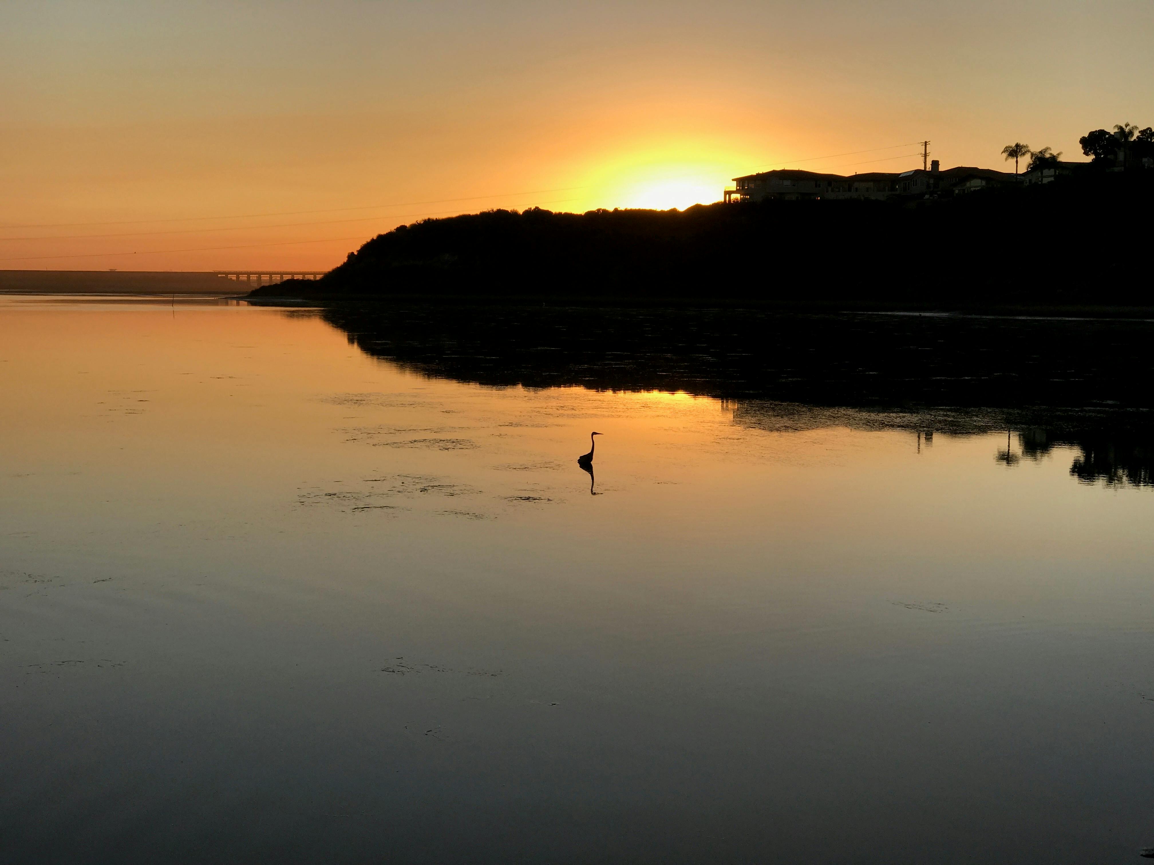 Kyle Dolan - Photography