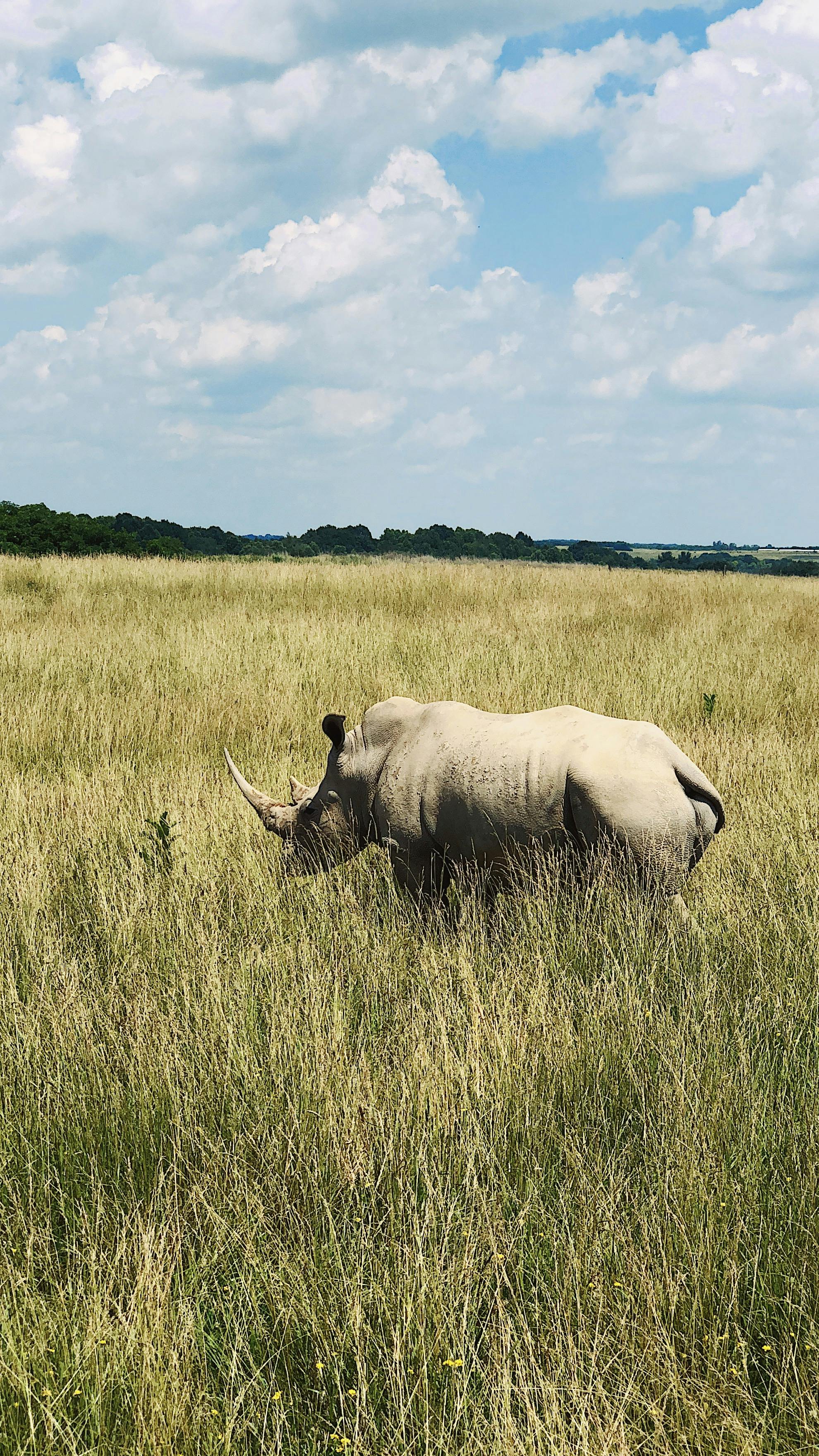 Kyle Dolan – fotografia