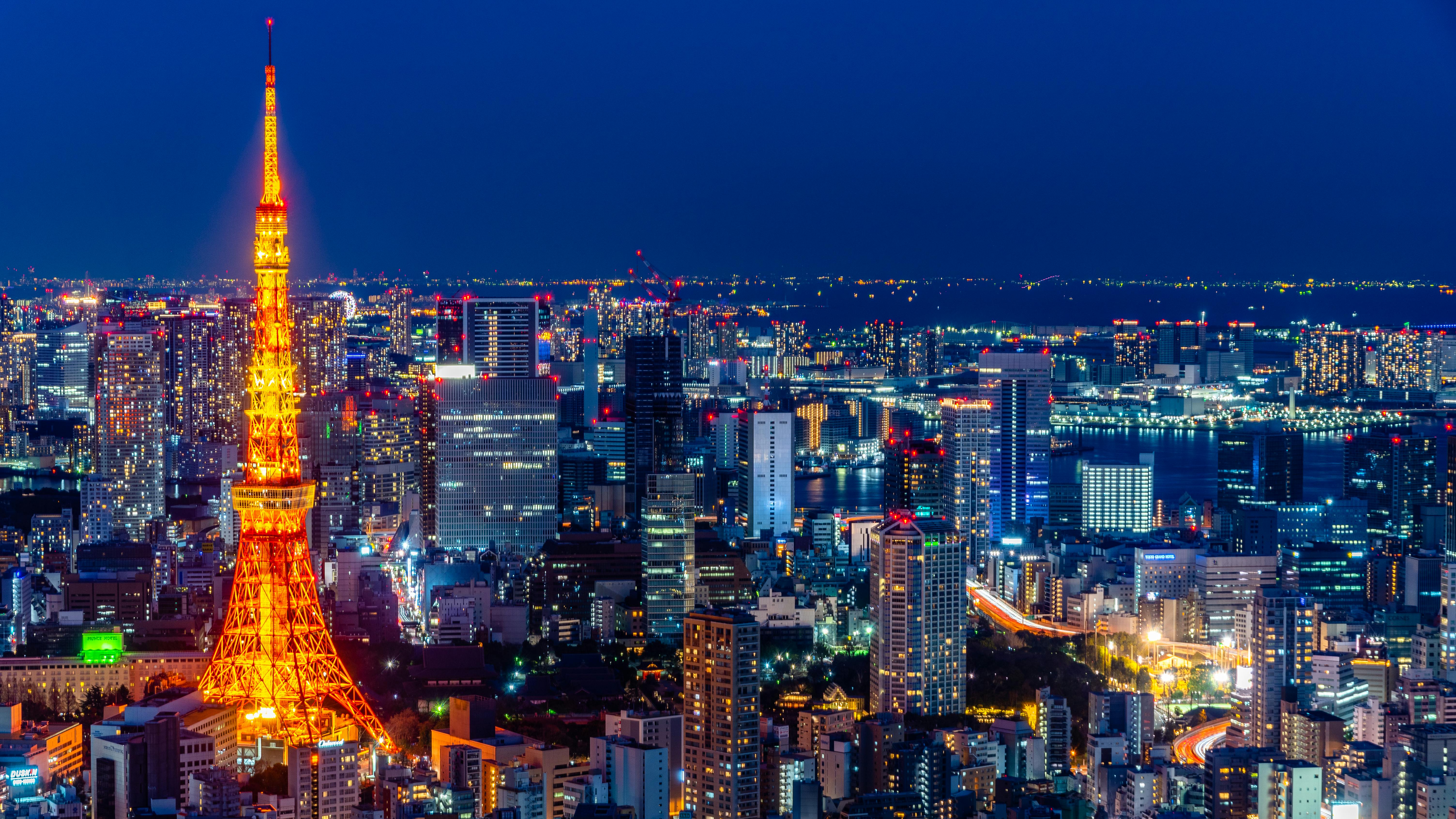 Free stock photo of city night, tokyo, tokyo tower