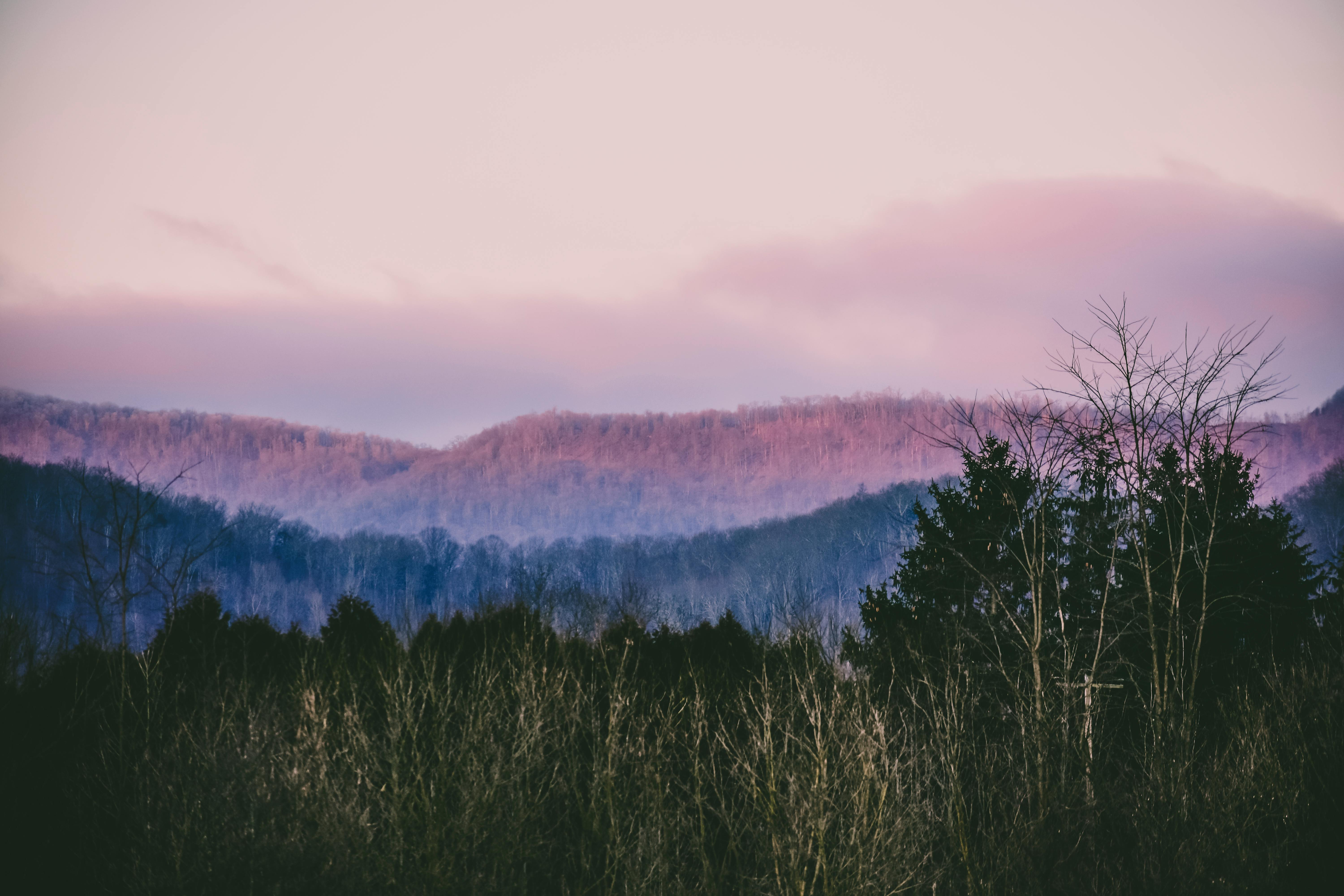 Zoom Backgrounds - Nature · Pexels