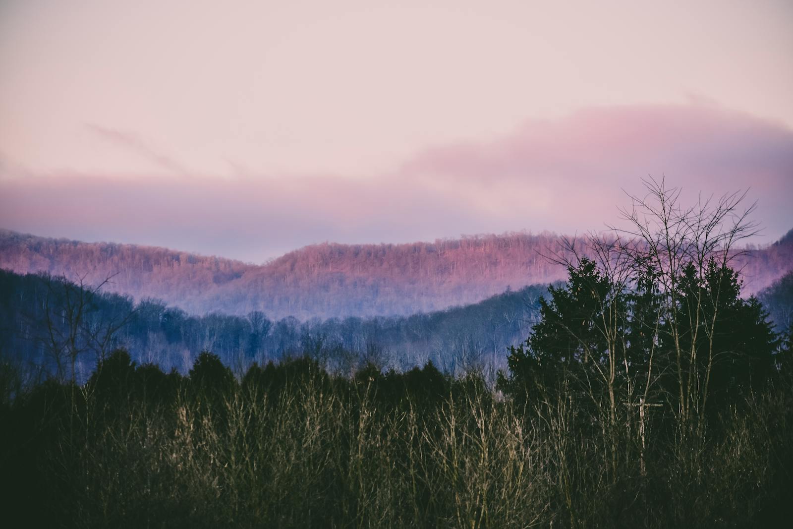 Zoom Backgrounds - Nature 40个图片和视频，由Lisa from Pexels收藏