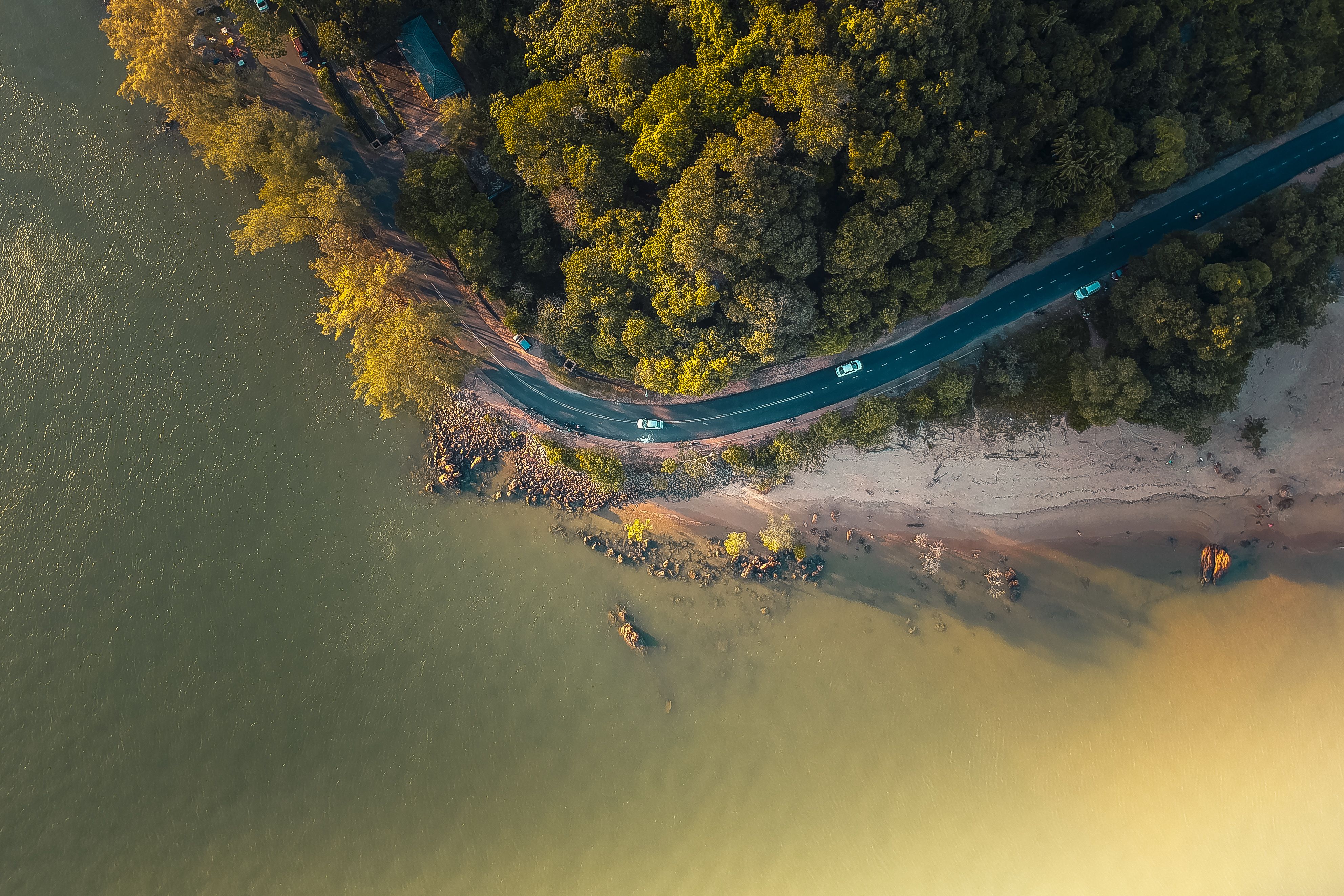 Aerial View of Green Trees and Road Beside Body of Water · Free Stock Photo