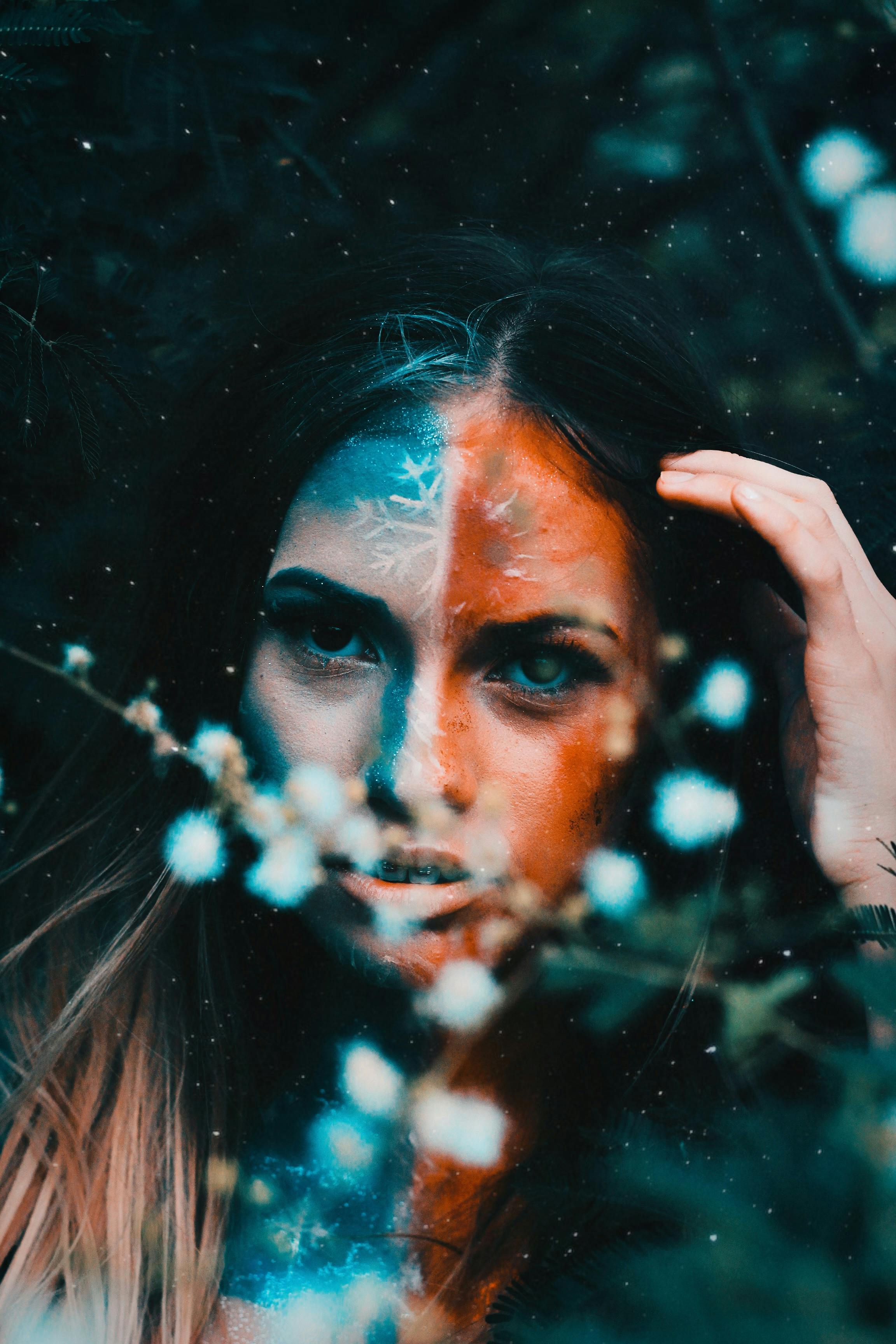 Winter Flower Photos, Download The BEST Free Winter Flower Stock Photos ...