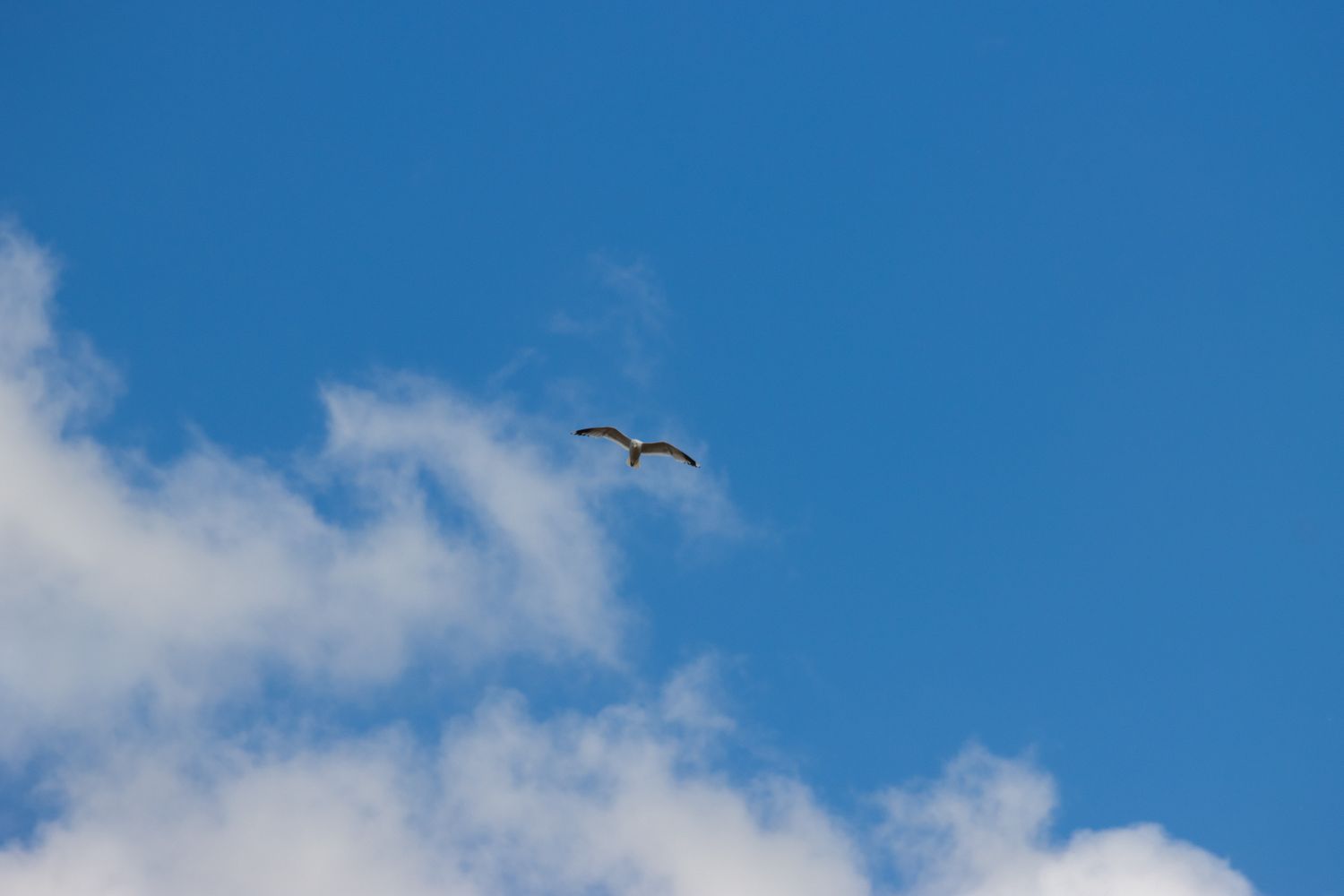 Efrem Efre - Photography