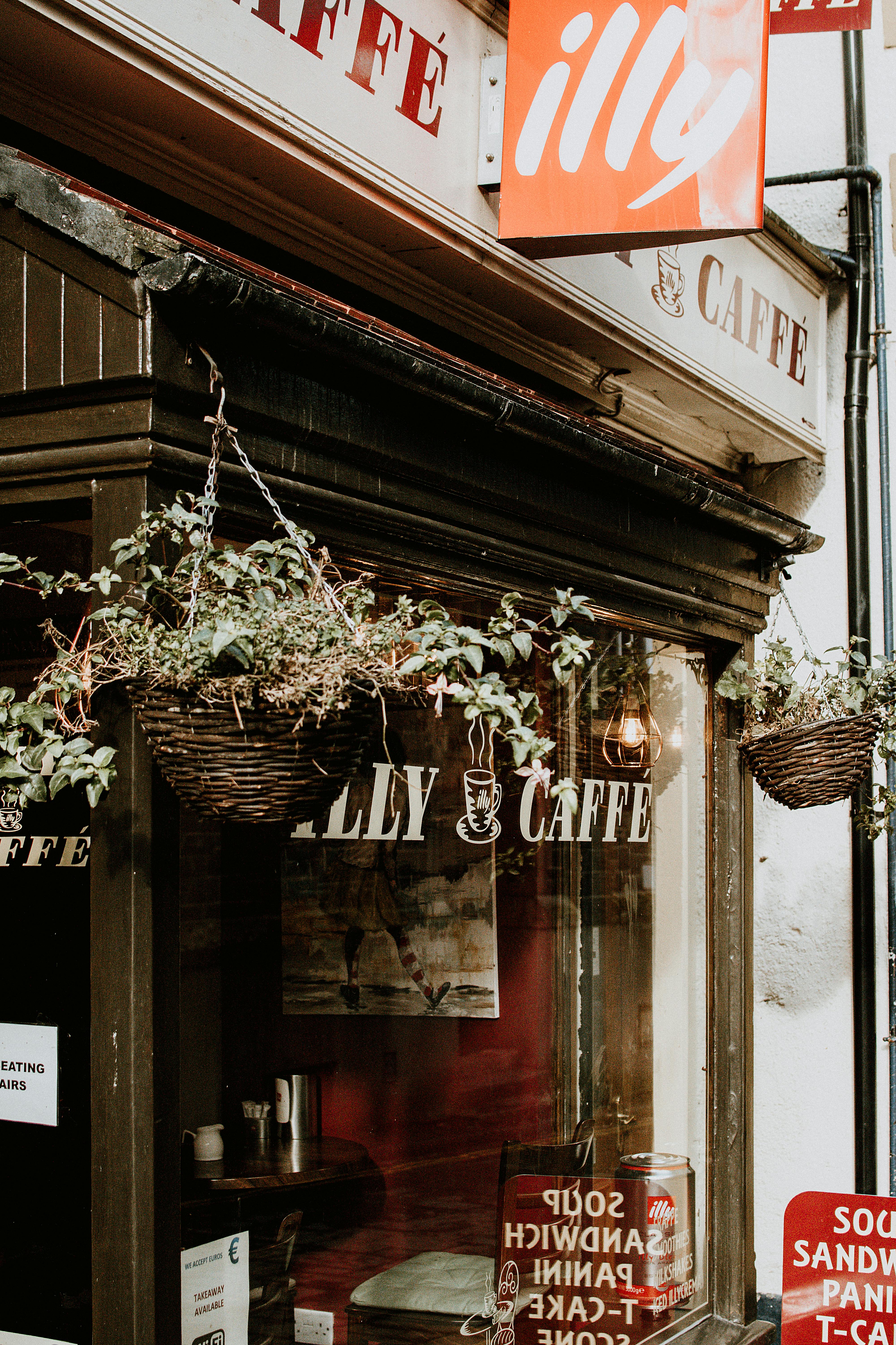 Hanging Plants in Front of Café · Free Stock Photo