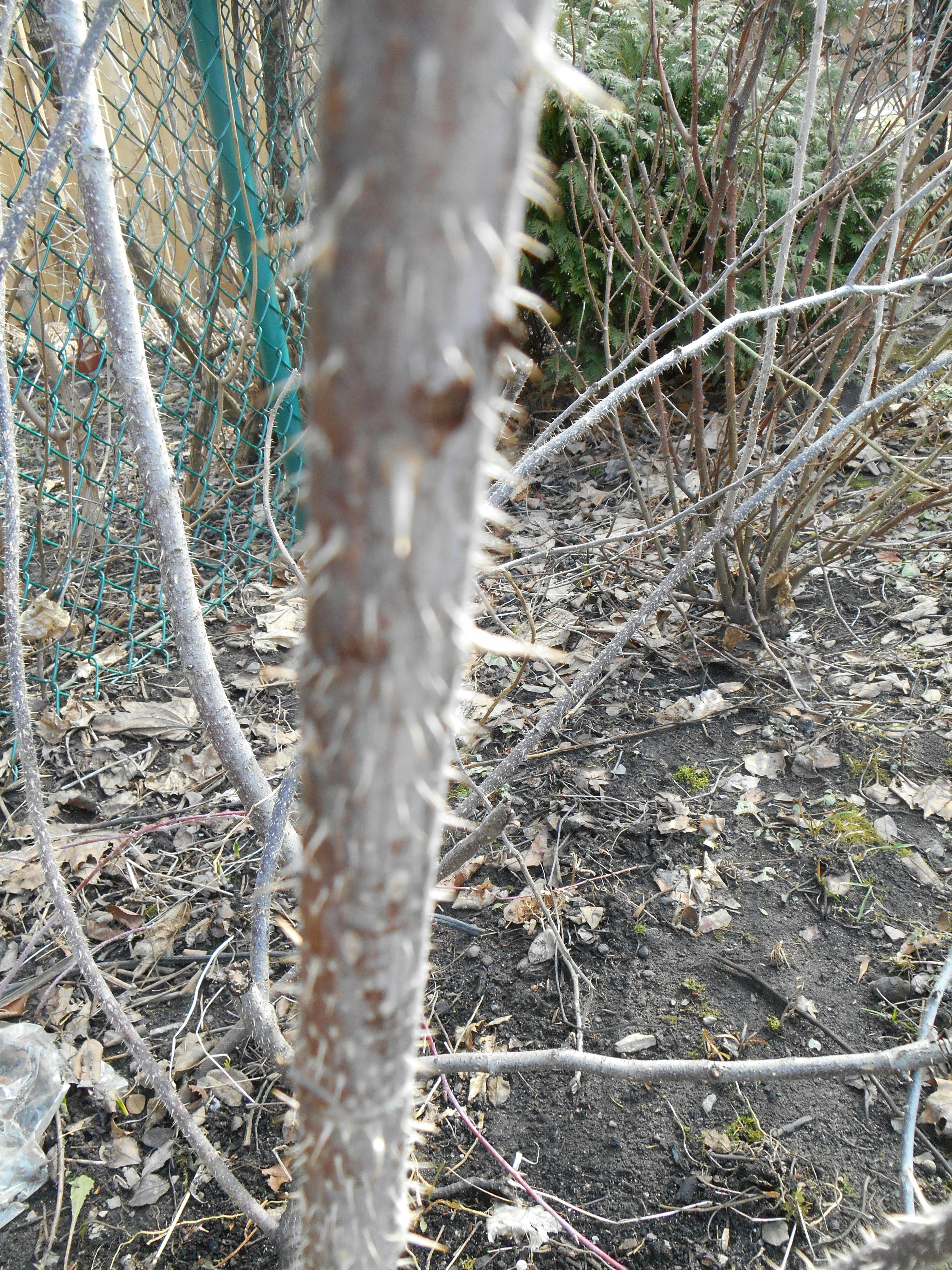 Free stock photo of 4320, 4k, 7680