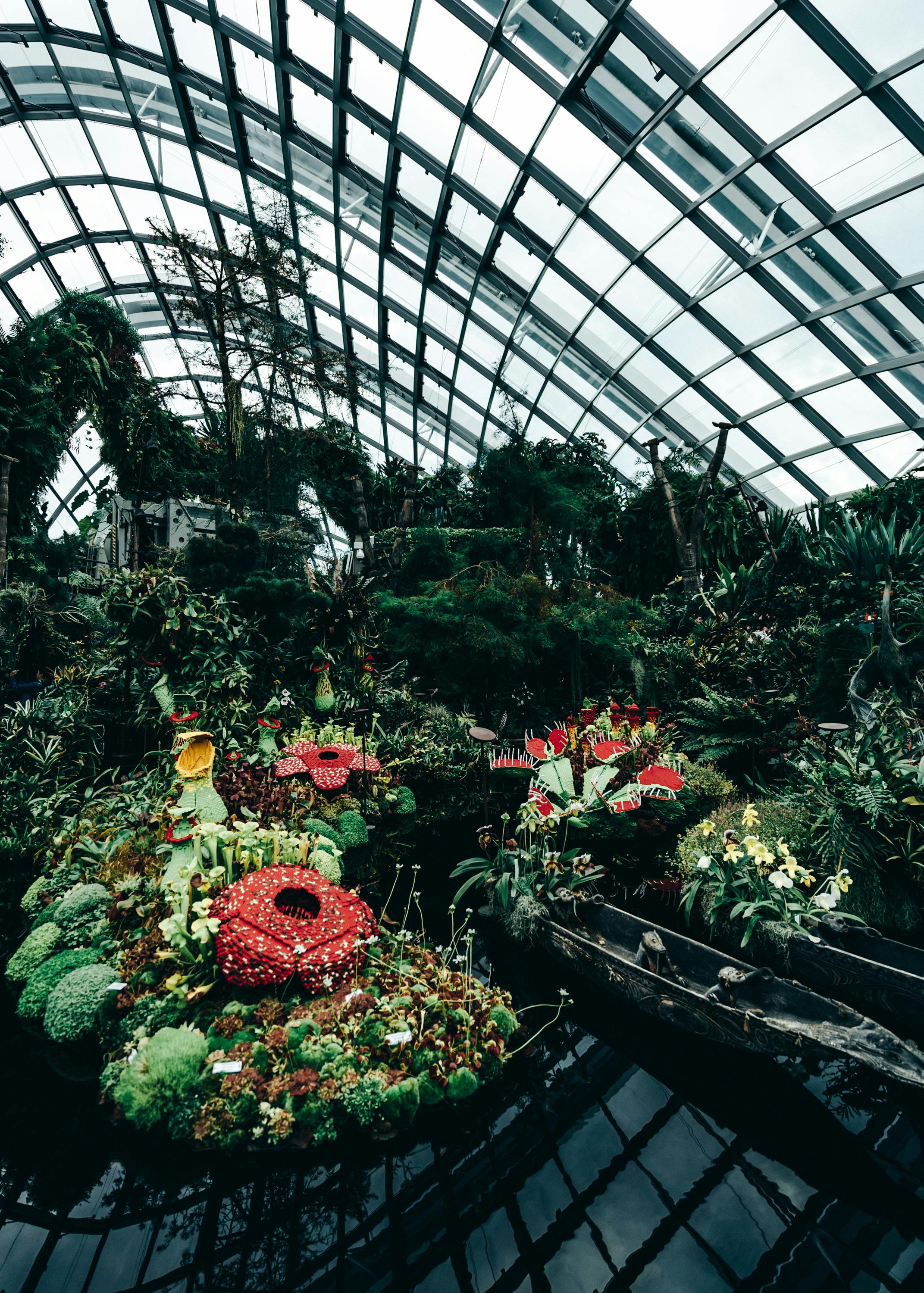 Plants on a Botanical Garden · Free Stock Photo
