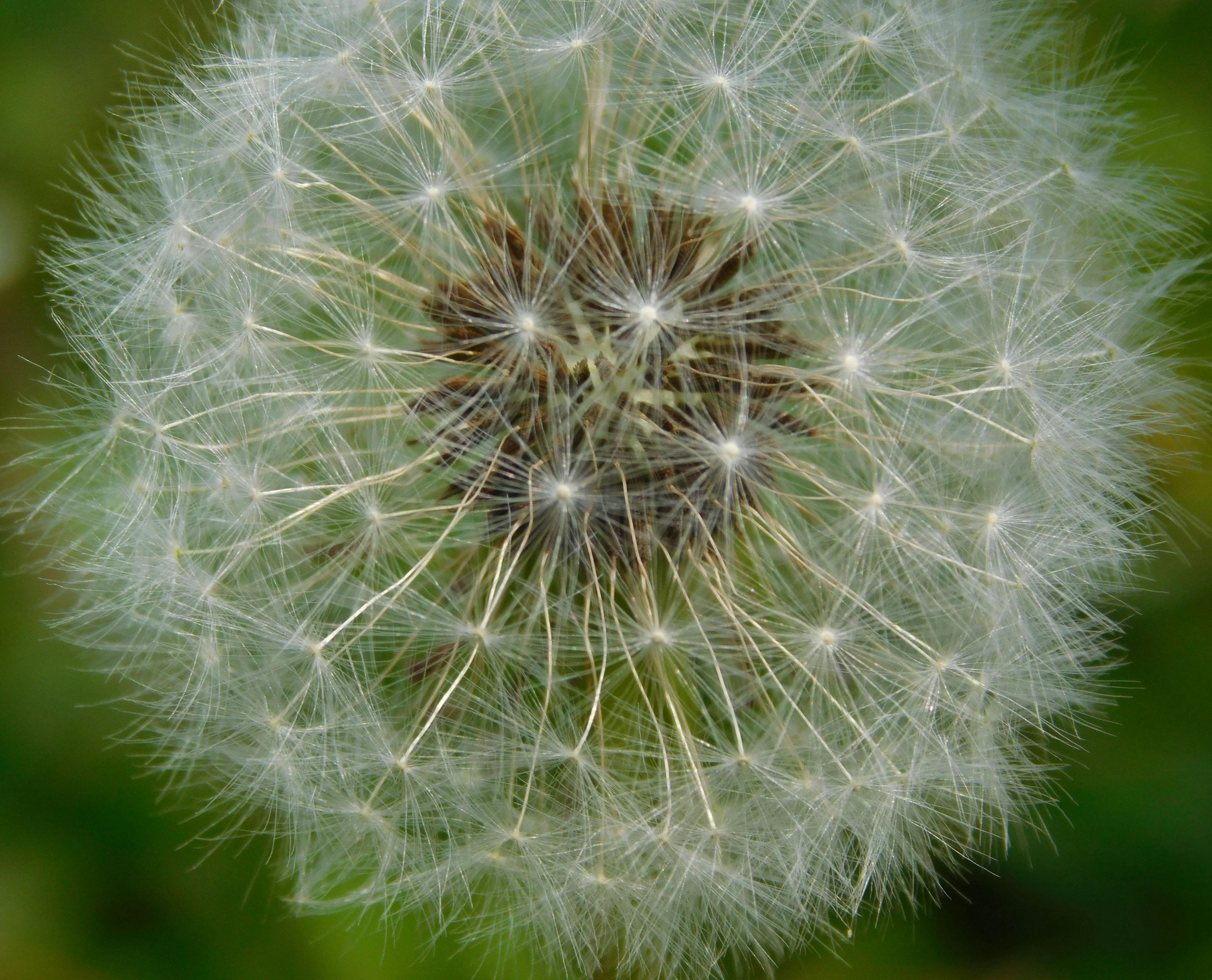 Adam Horvath - Photography