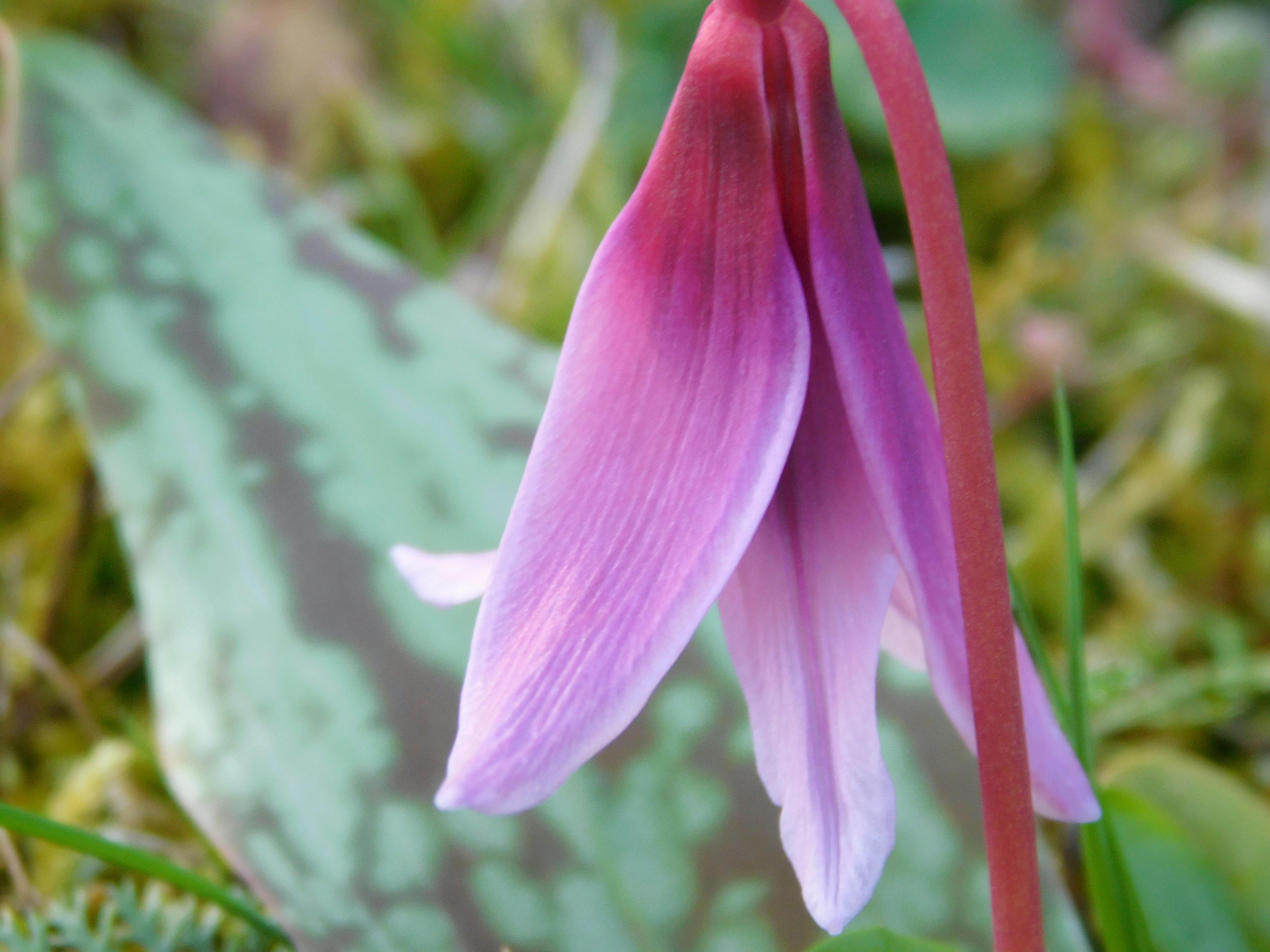 Adam Horvath - Photography