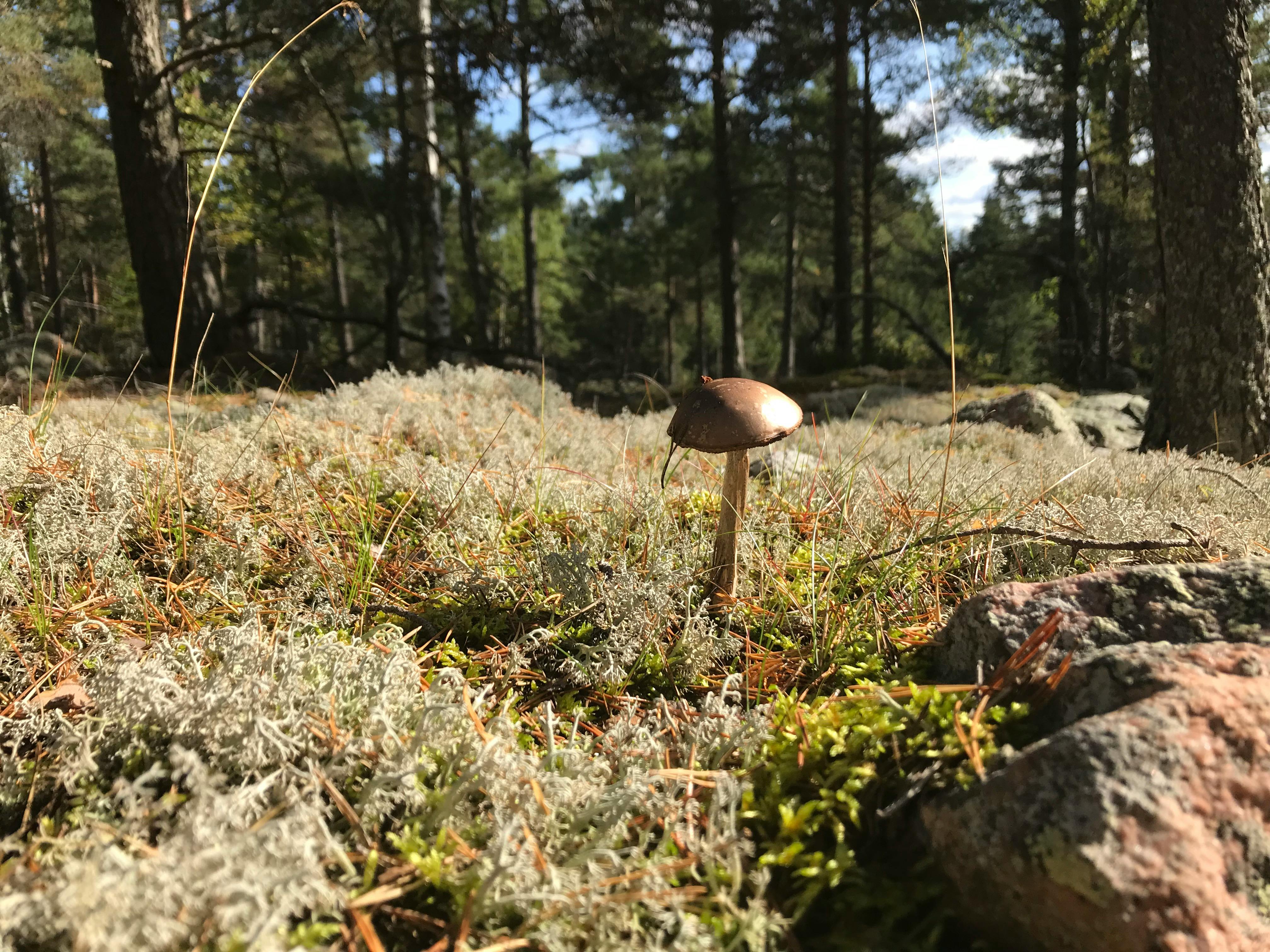 Sharon Green - 사진